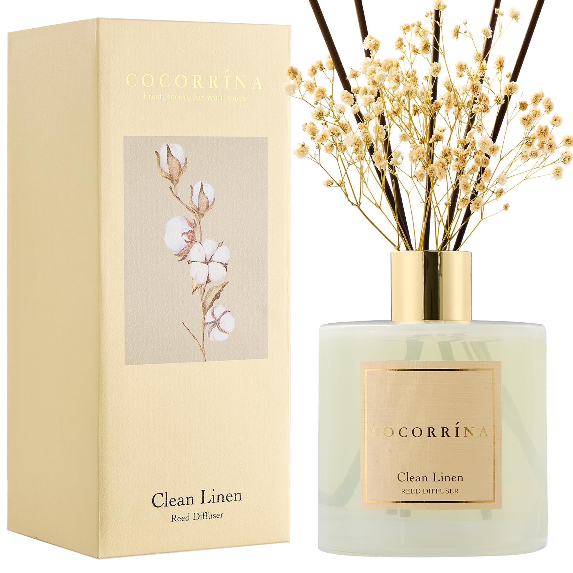 Amazon.com: COCORRÍNA Reed Diffuser - Clean Linen 17 Fl.oz Reed ...