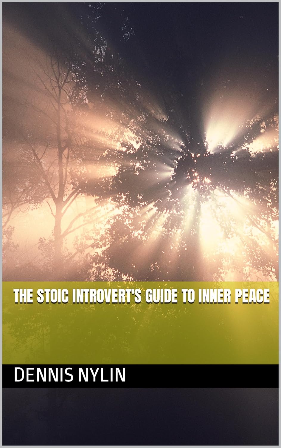 The Stoic introvert's guide to inner peace - Kindle edition by Nylin ...