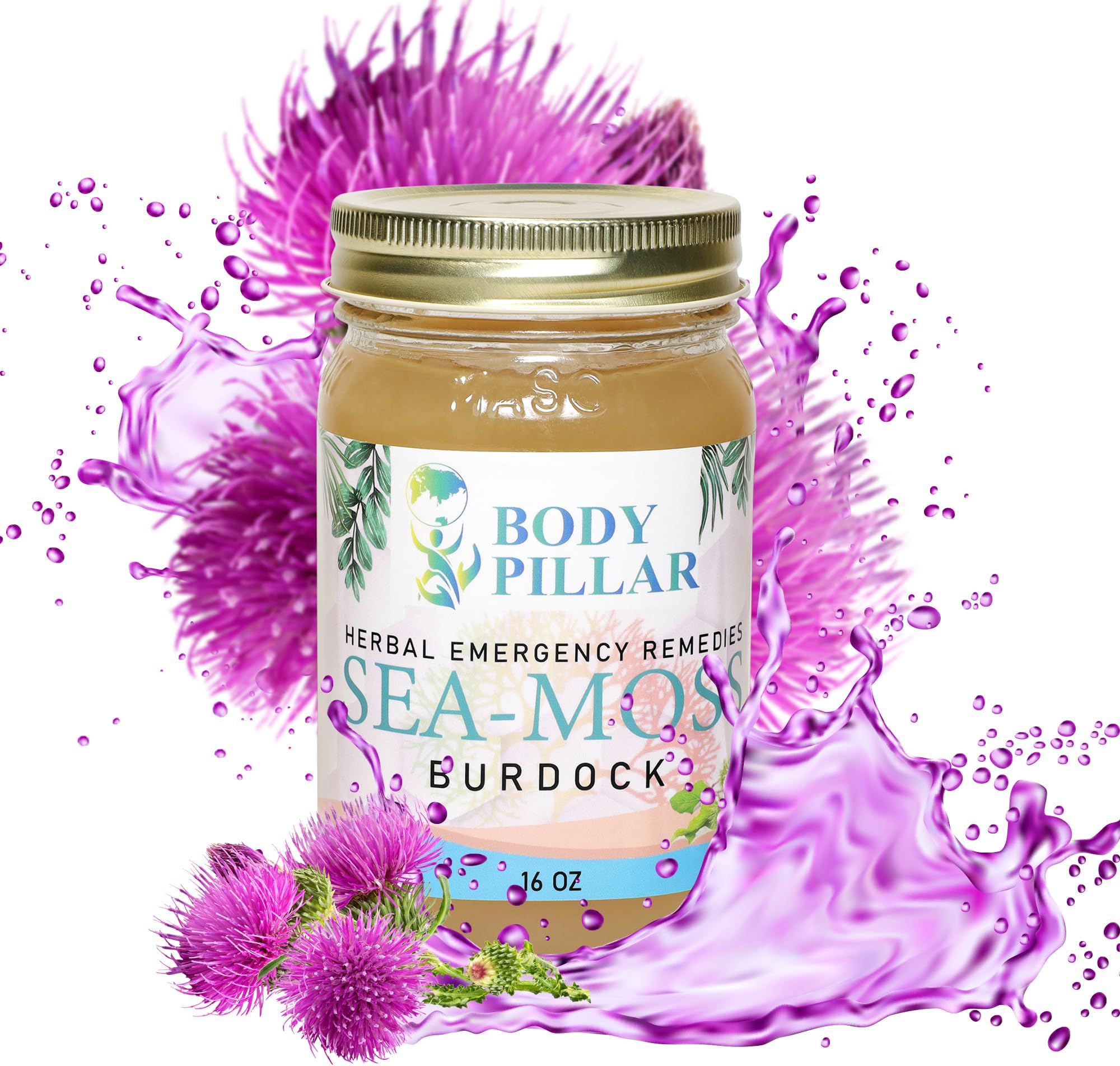 Amazon.com: Body Pillar Sea Moss Gel | Organic Sea Moss with 92 ...