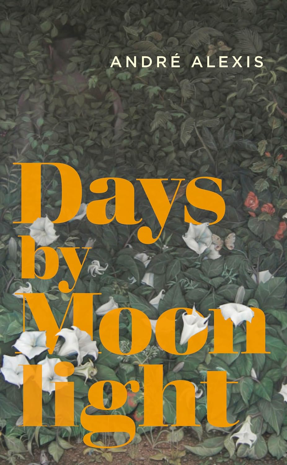Days by Moonlight: Alexis, André, Alexis, André: 9781552453797: Amazon ...