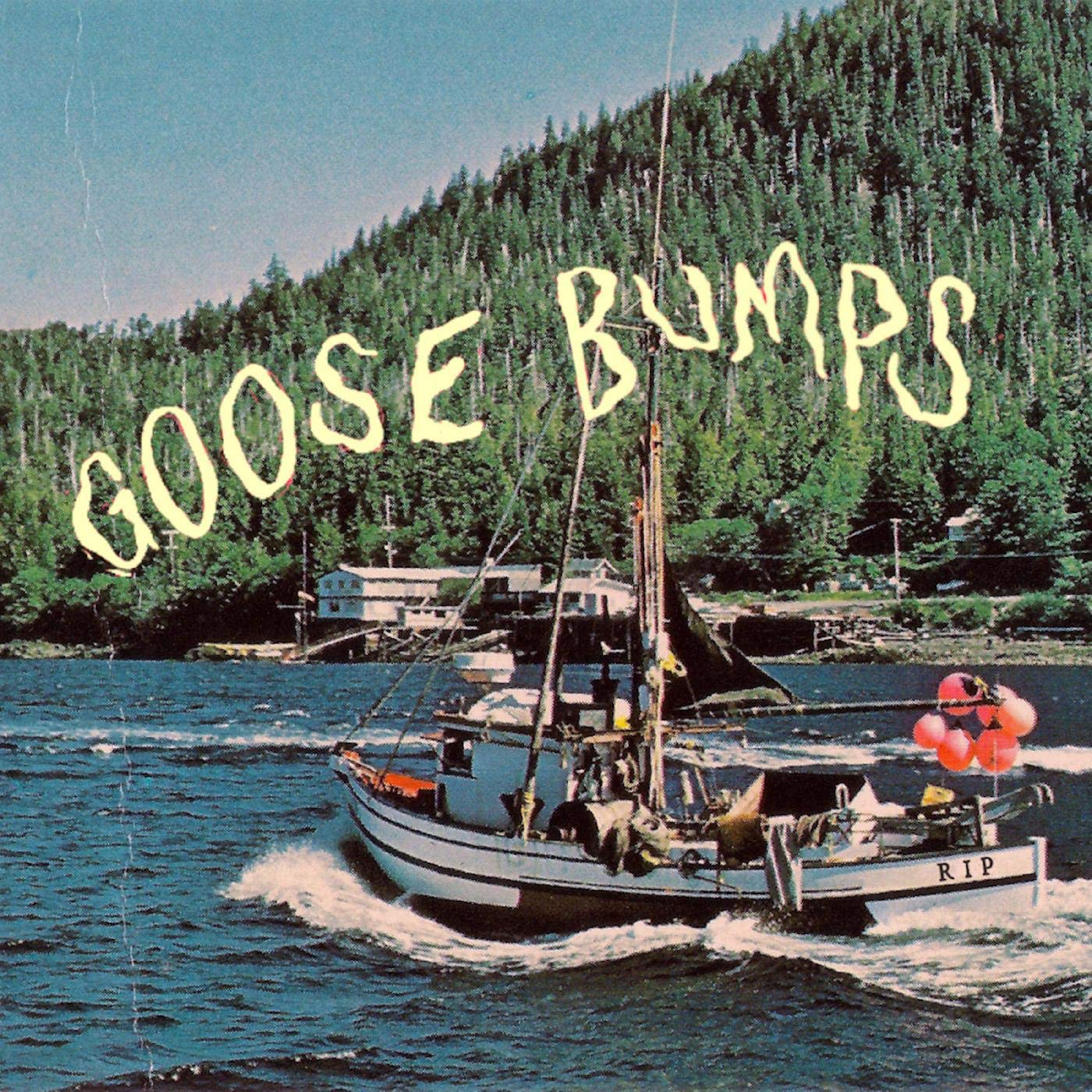 Amazon.com: Goose Bumps: CDs & Vinyl