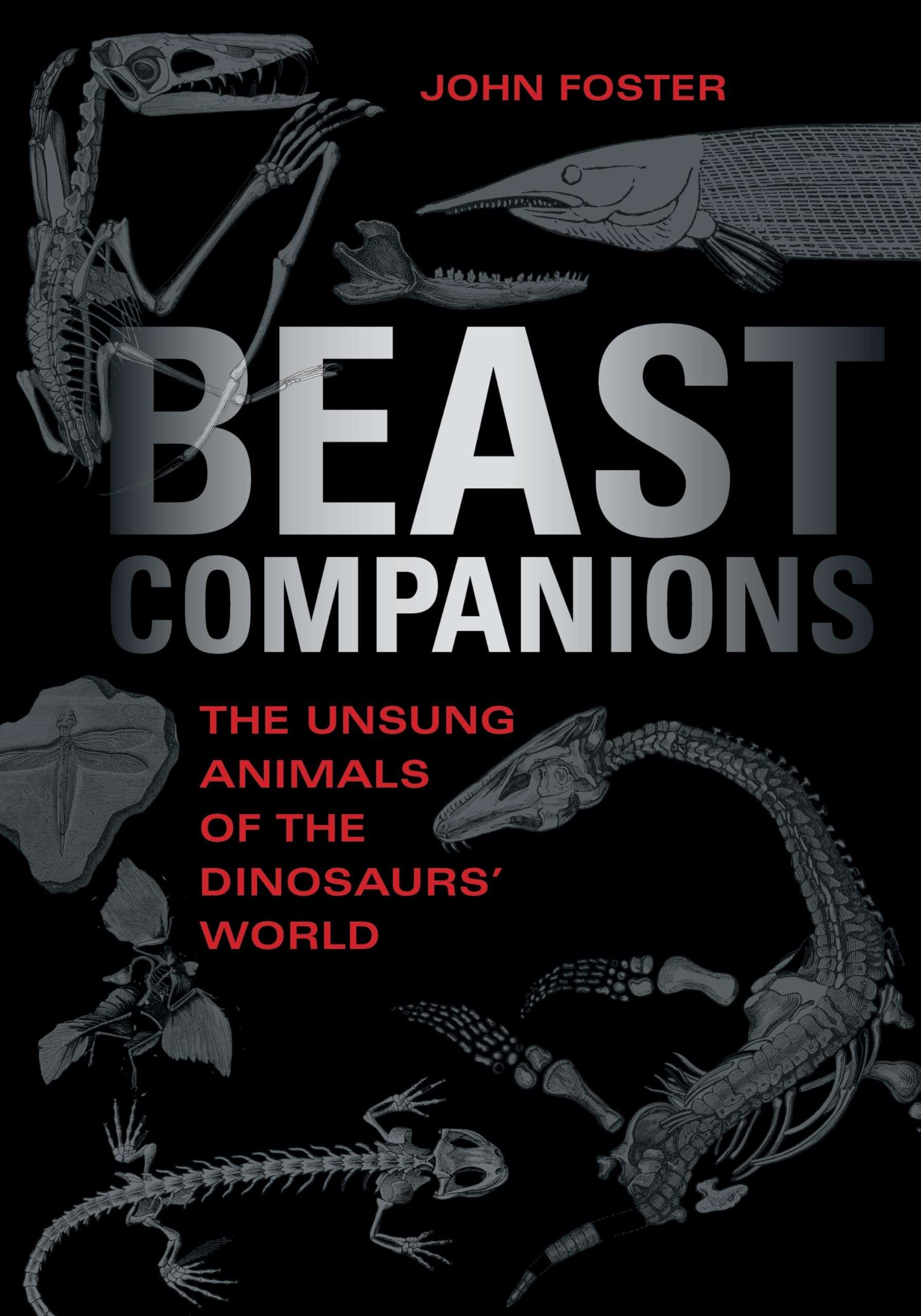 Beast Companions: The Unsung Animals of the Dinosaurs' World (Life of ...