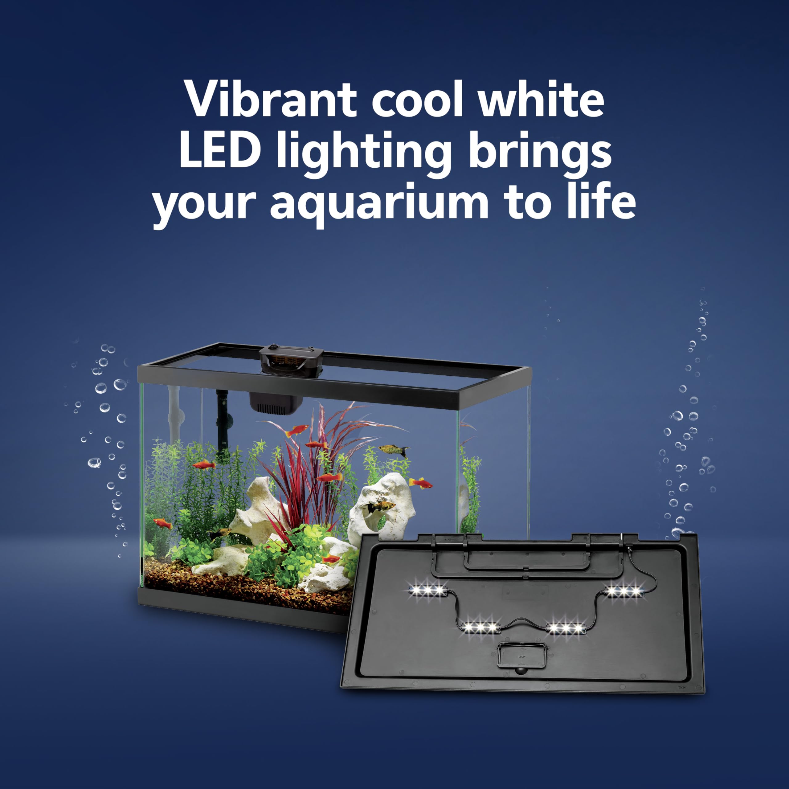 Snapklik.com : Aqueon Aquarium Starter Kit