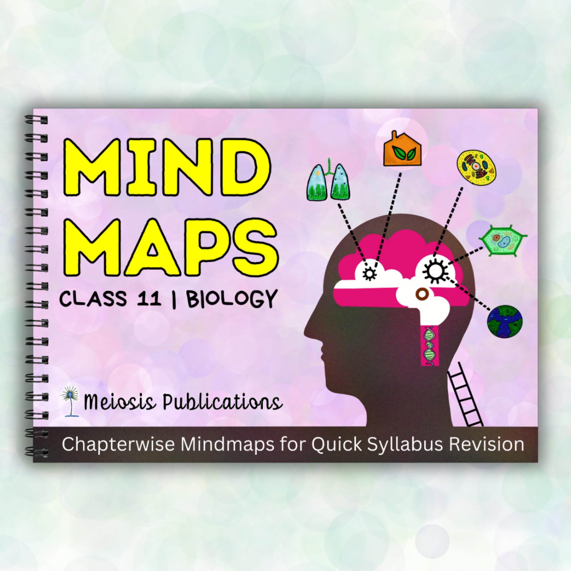 NEET UG Mind Maps for Biology Class 11 Preparation | Meiosis ...