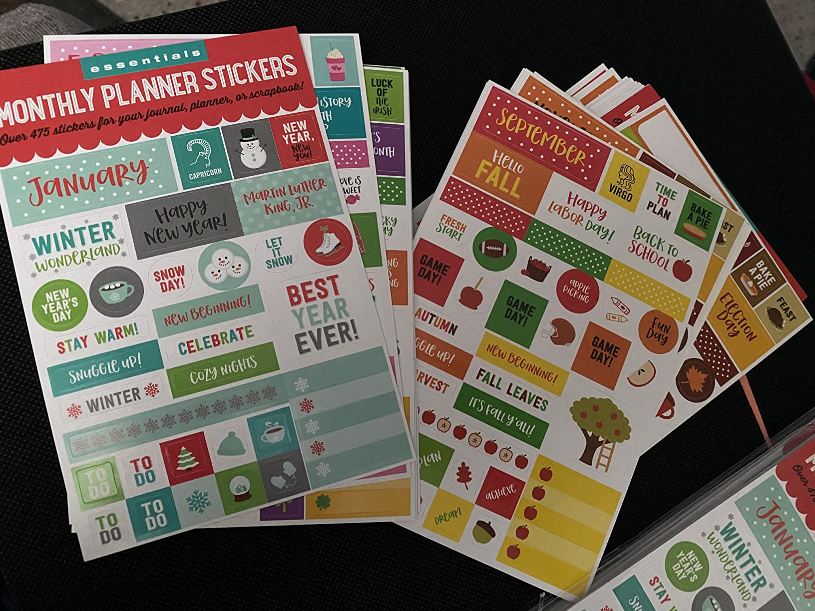 Essentials Month by Month Planner Stickers (Set of 475 Stickers ...