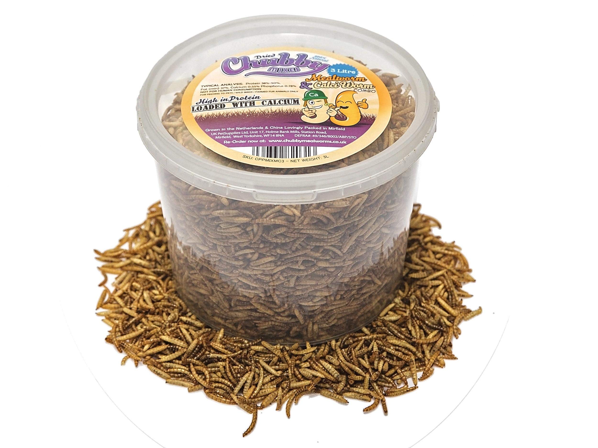 Buy Chubby Mealworms Dried Mealworms and Calci Worm Mix, 3 Litre Tub ...