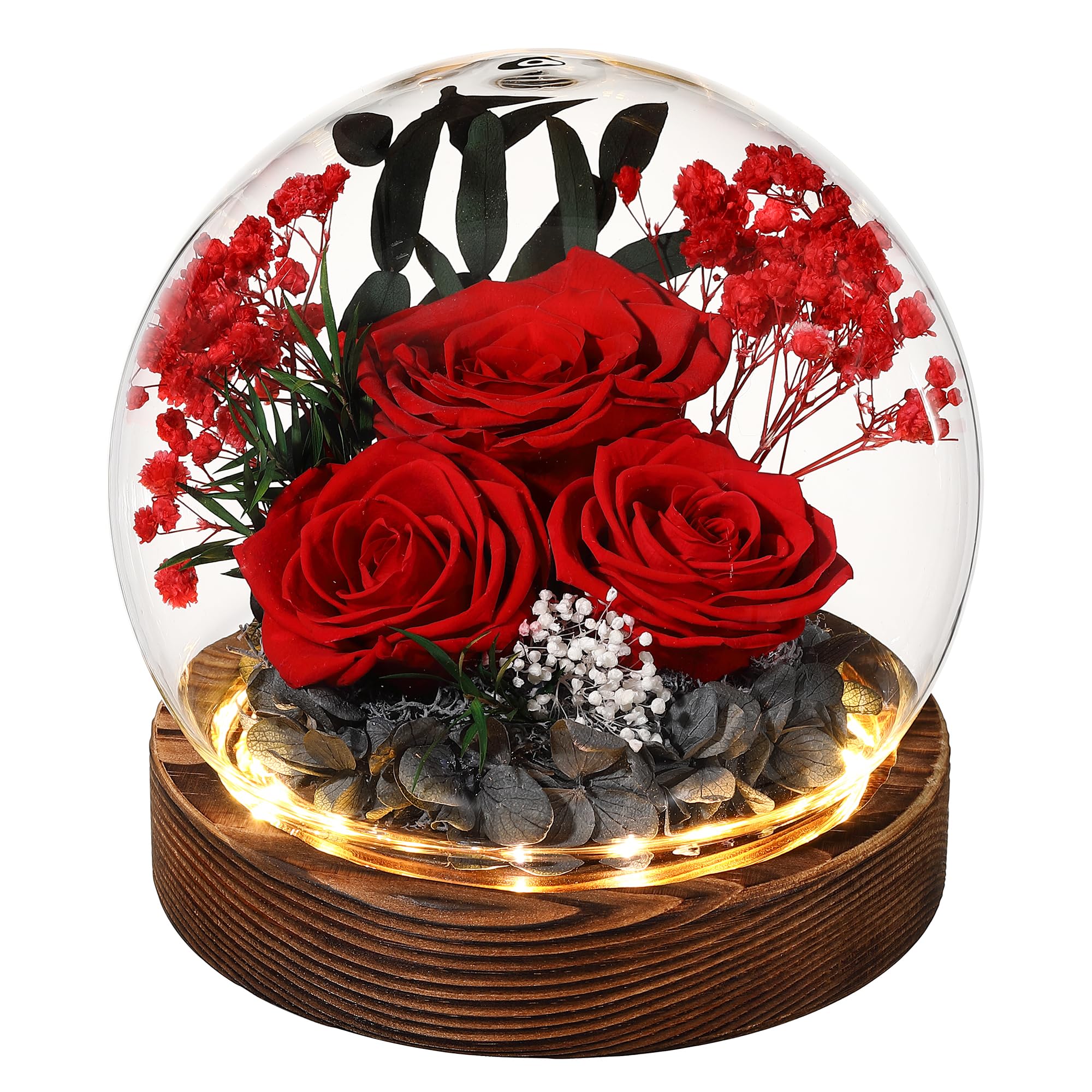 Amazon.com: Eaprala Birthday Roses Gifts for Women, Preserved Flower ...