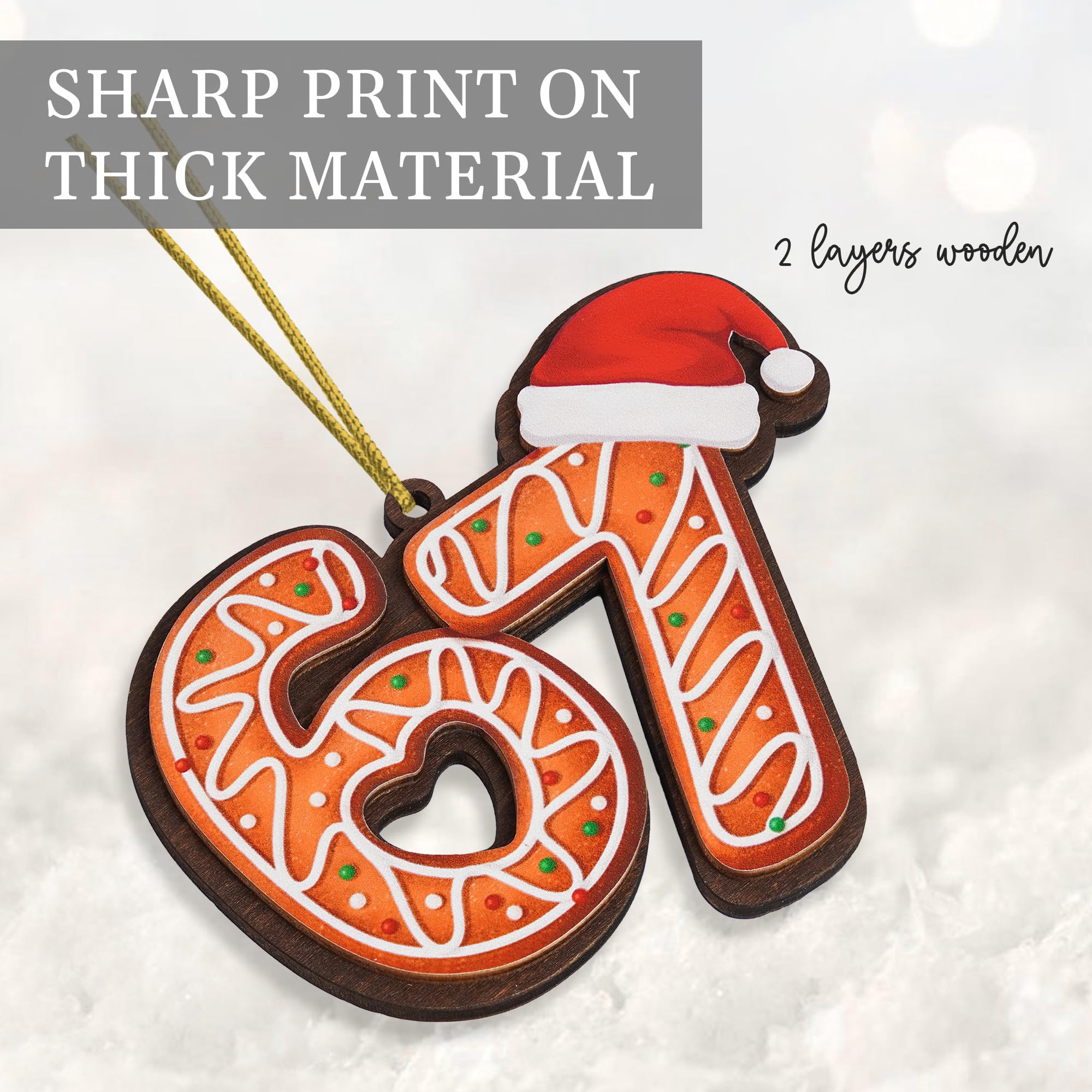 Funny Gingerbread Ornament Gingerbread 67 Christmas Ornament 2025 ...