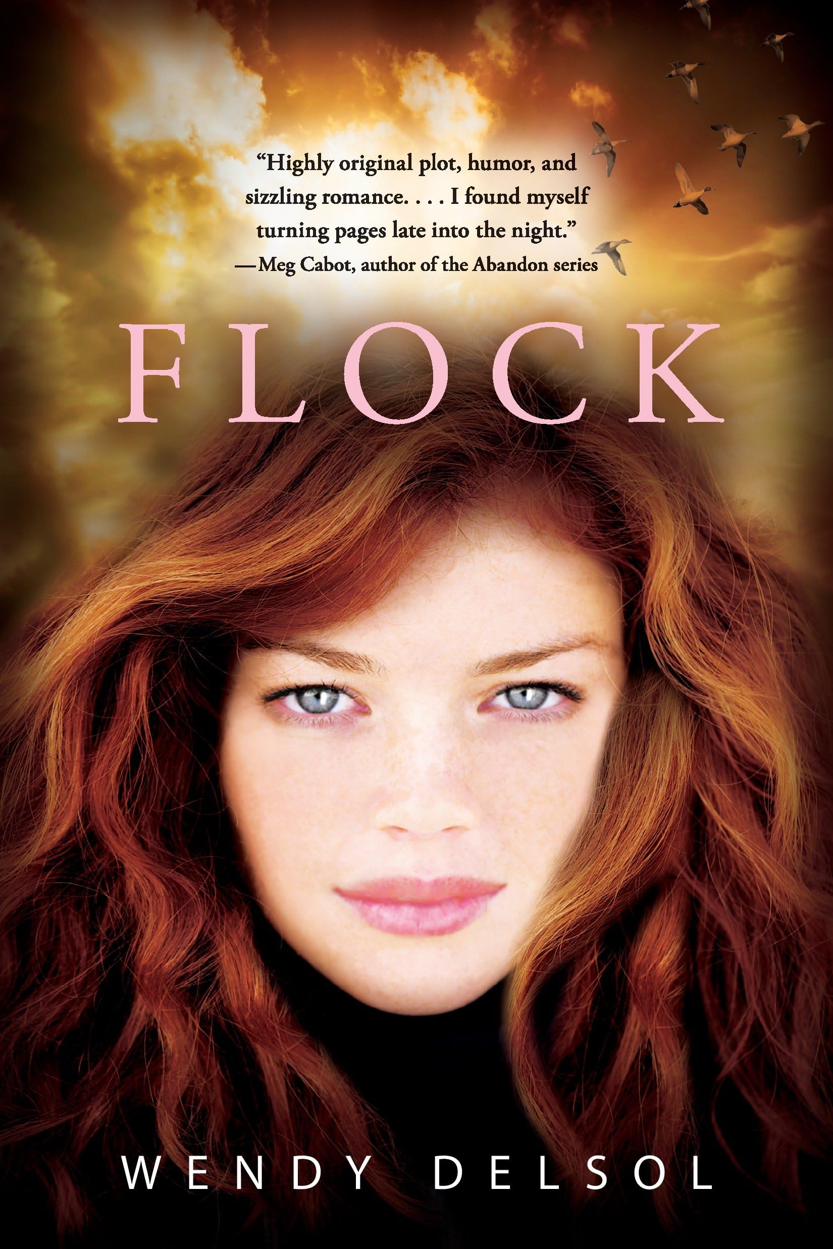 Amazon.com: Flock (Stork Trilogy): 9780763664671: Delsol, Wendy: Books