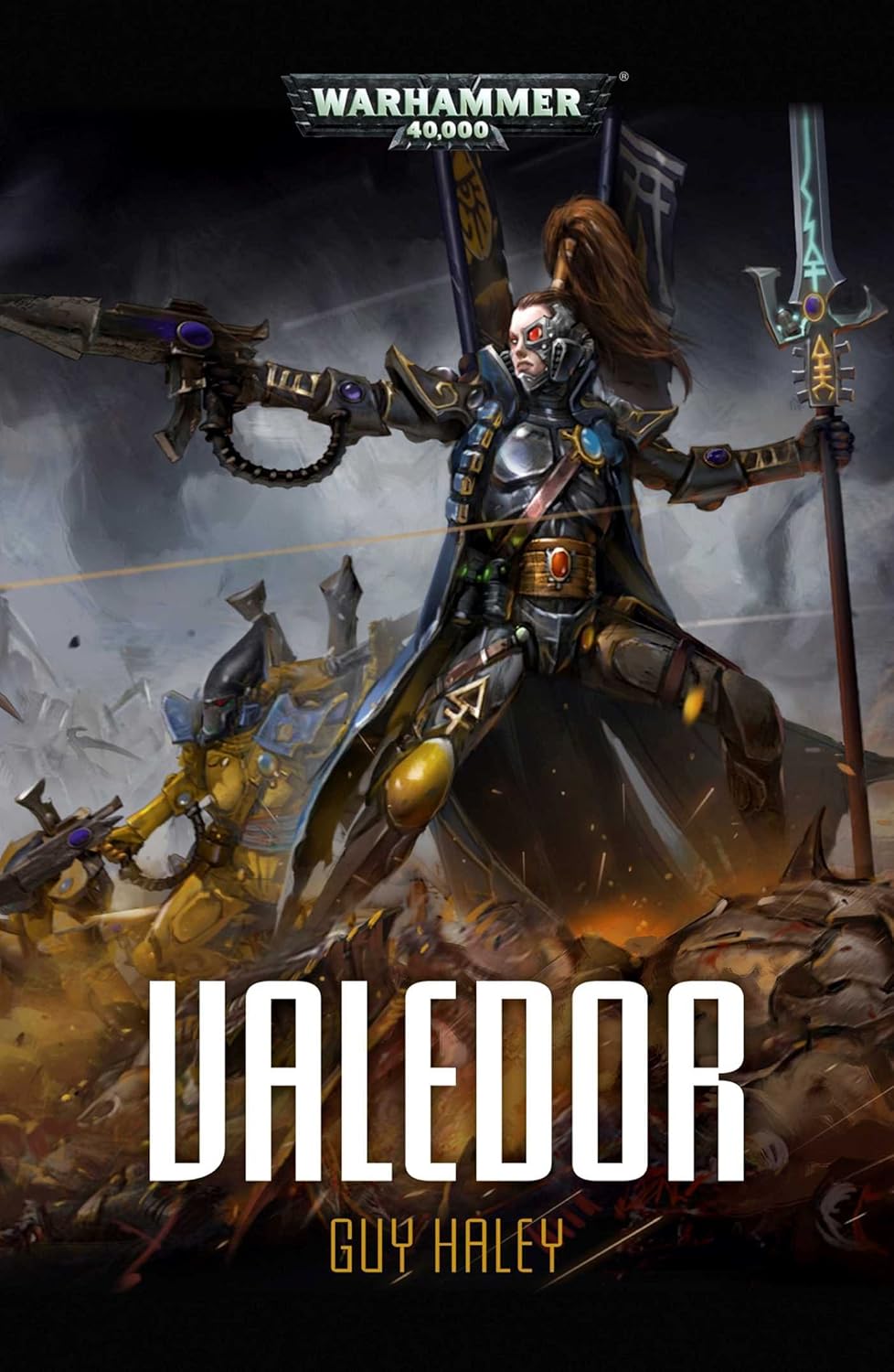 Valedor: Amazon.co.uk: Haley, Guy: 9781849708524: Books