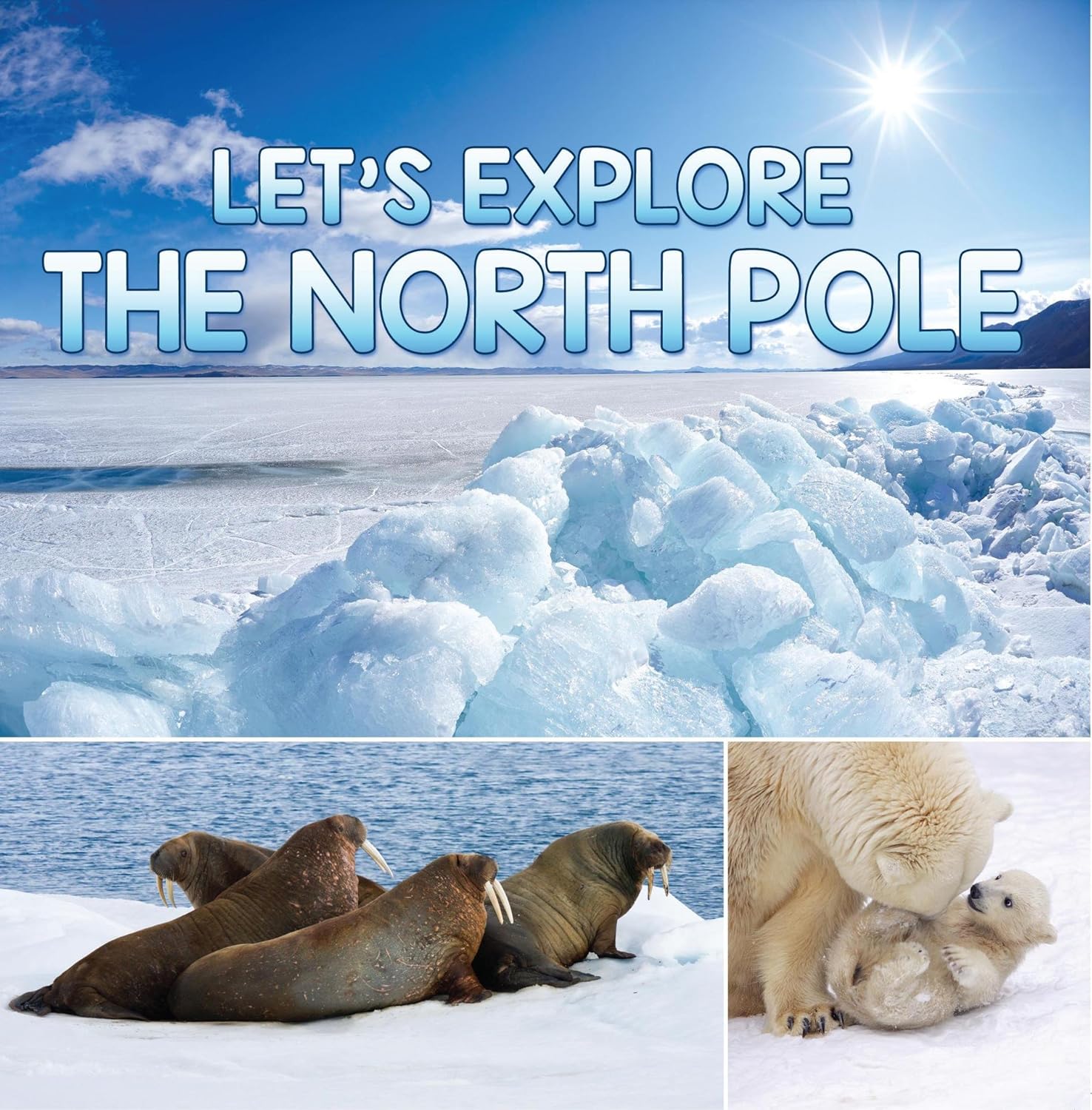Amazon.com: Let's Explore the North Pole: Arctic Exploration and ...