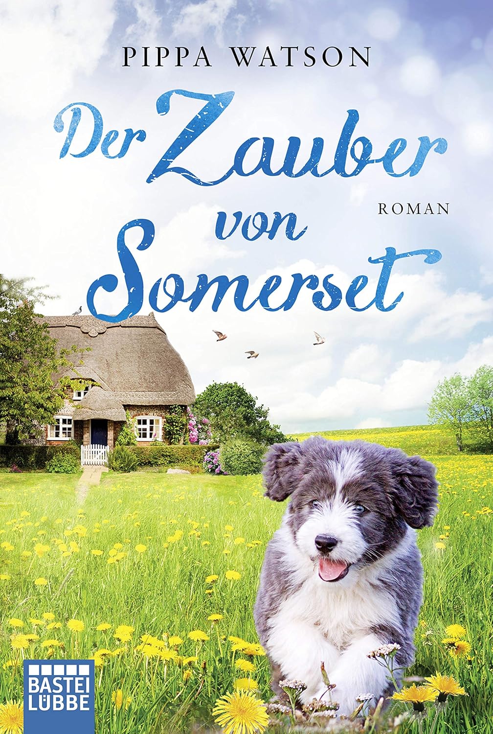 Der Zauber von Somerset: Roman : Watson, Pippa: Amazon.de: Bücher