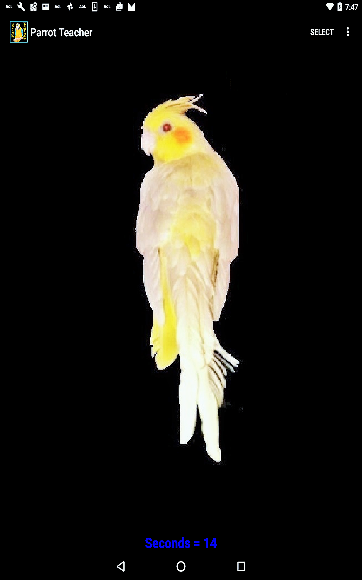 Parrot Teacher-Full - App on Amazon Appstore