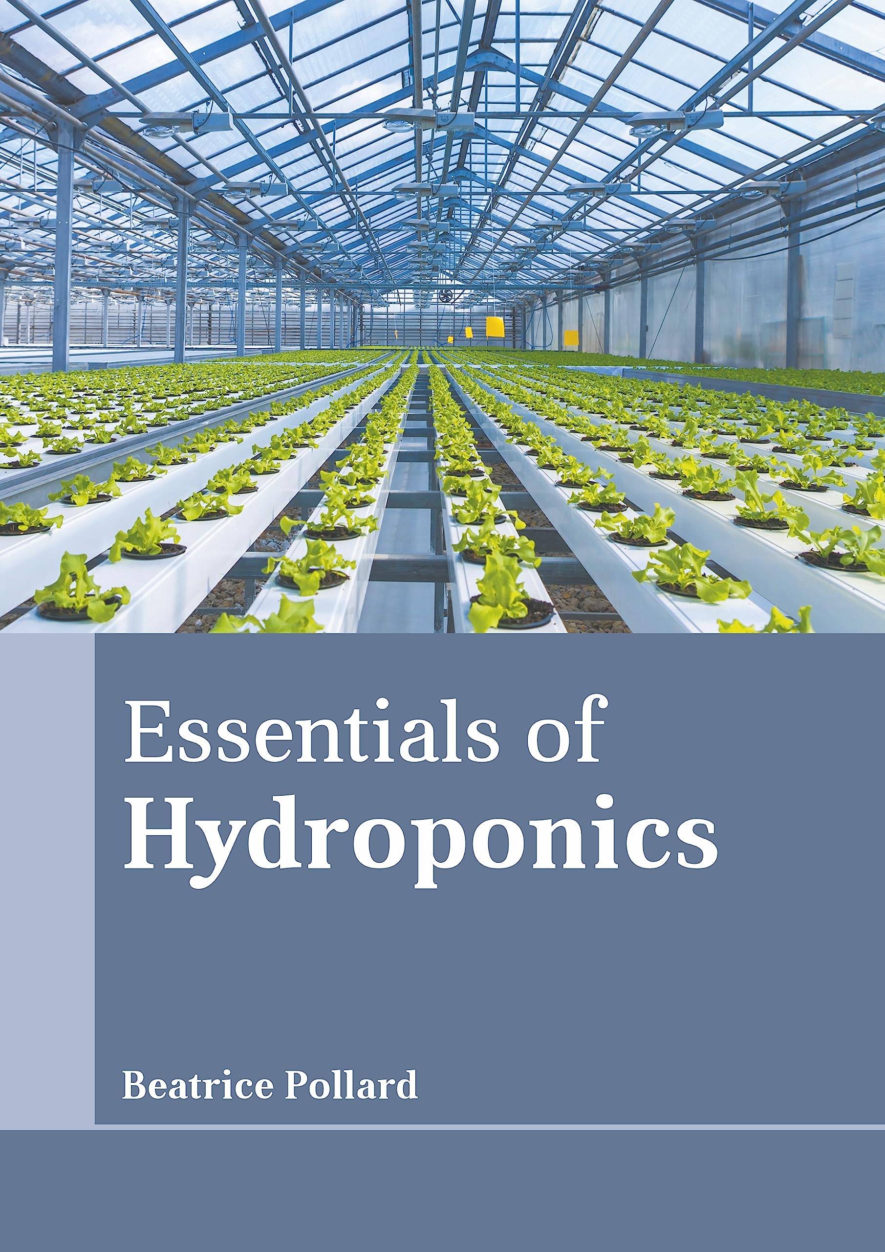 Amazon.com: Essentials of Hydroponics: 9781639872114: Pollard, Beatrice ...
