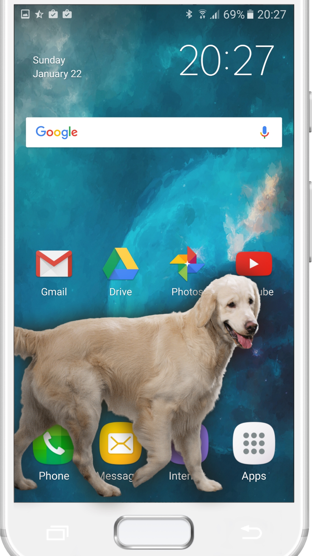 Dog on screen: Woof woof joke - App on Amazon Appstore