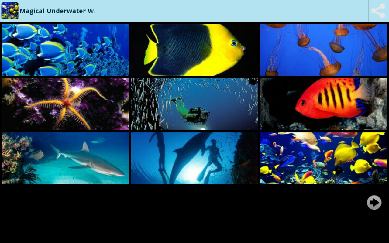 Magical Underwater Wallpapers - App on Amazon Appstore