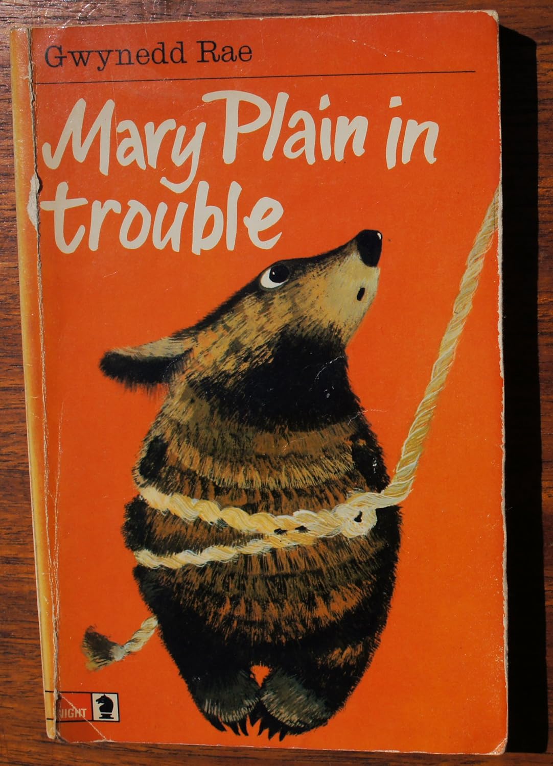 Mary Plain in Trouble (Knight Books): Gwynedd Rae: 9780340164013 ...