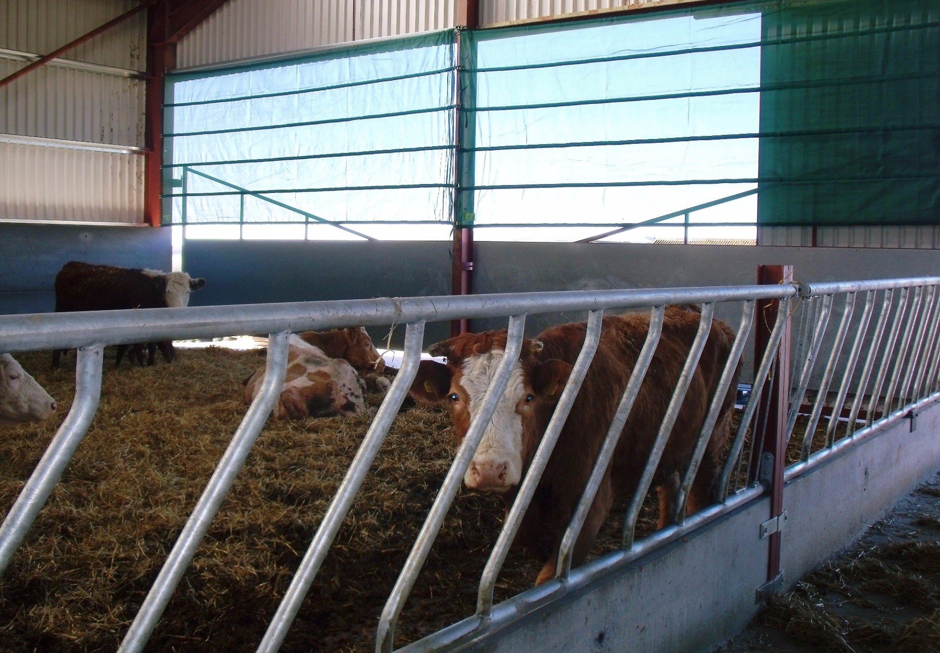 3 x Windbreak for farm sheds, buildings, cattle, storage, cow and ...