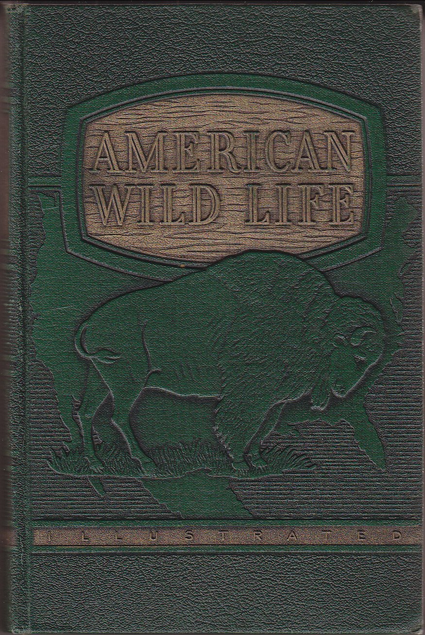 AMERICAN WILD LIFE ILLUSTRATED: [WPA] Work Projects Administration ...