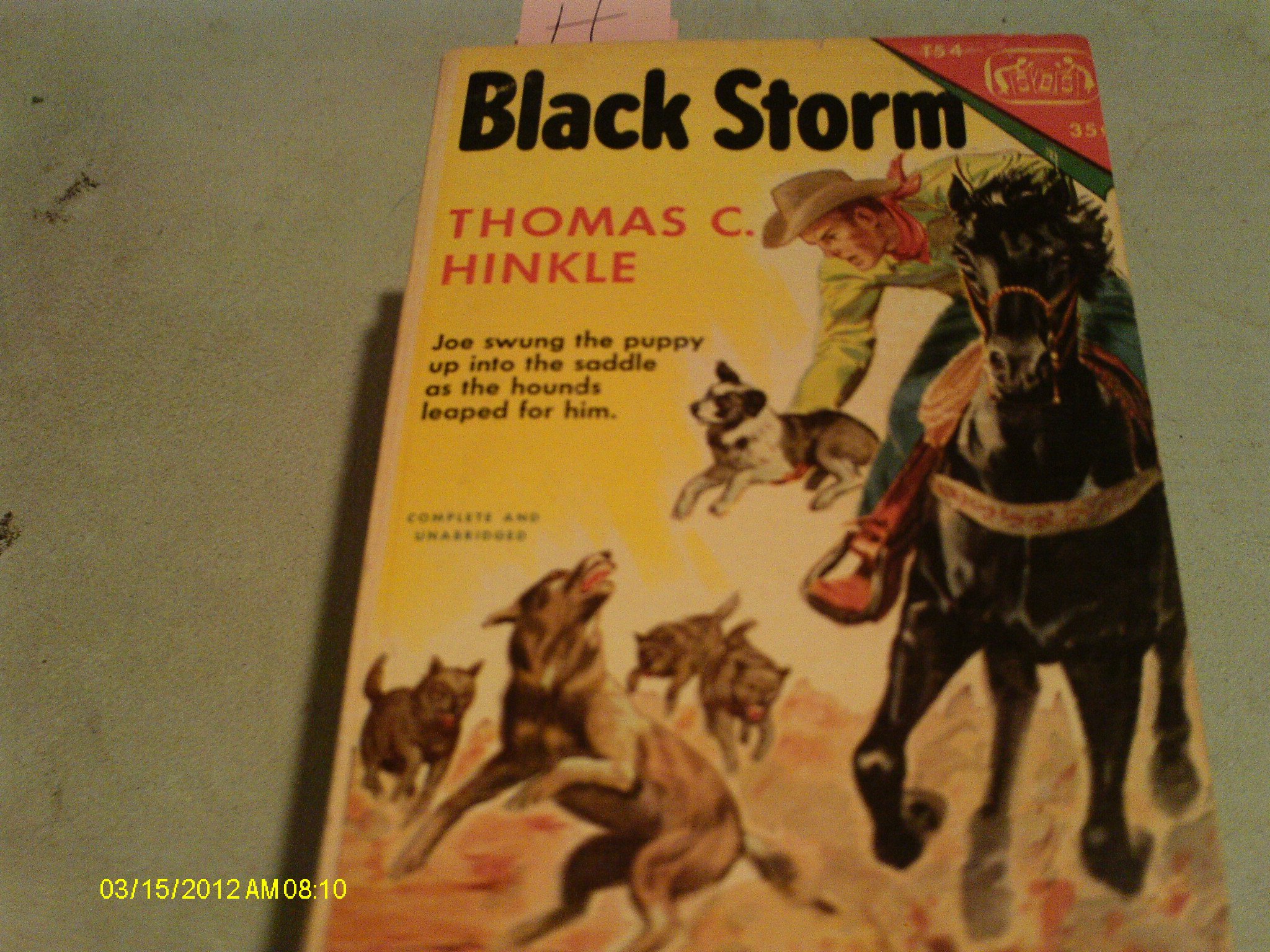 Black Storm: Hinkle, Thomas C: Amazon.com: Books