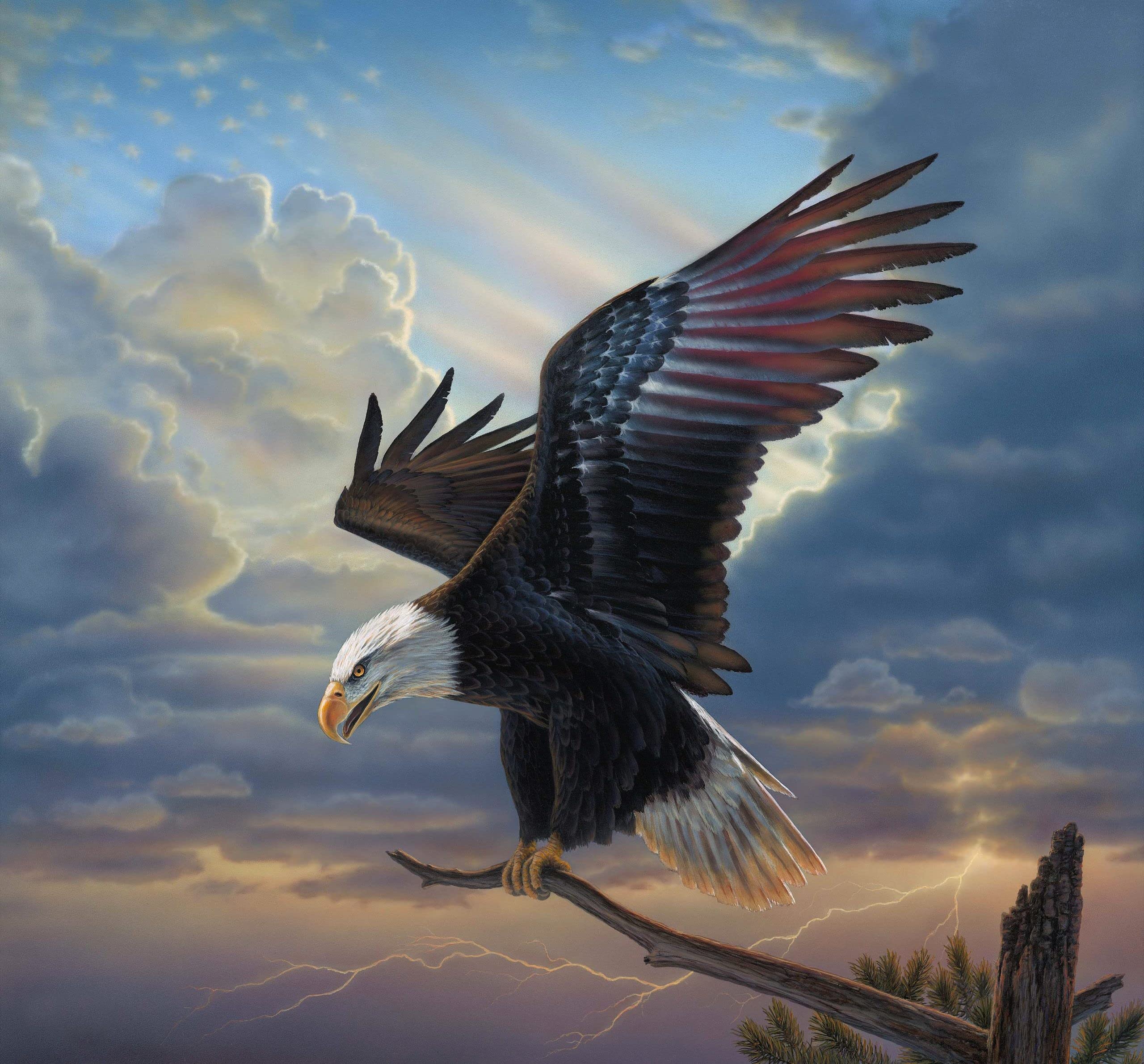 Patriotic Eagle Borders