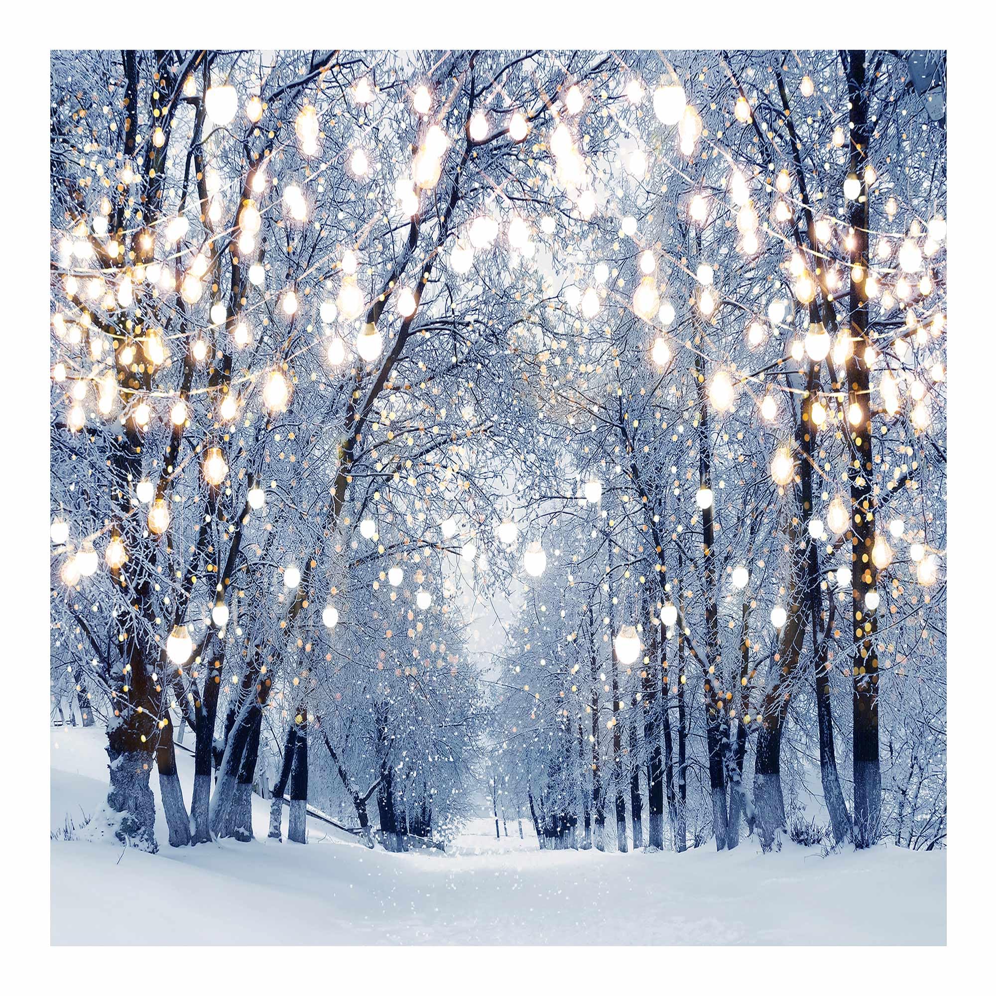 Wonderland Winter Effbomb Backgrounds Winter Wonderland Snowflakes In