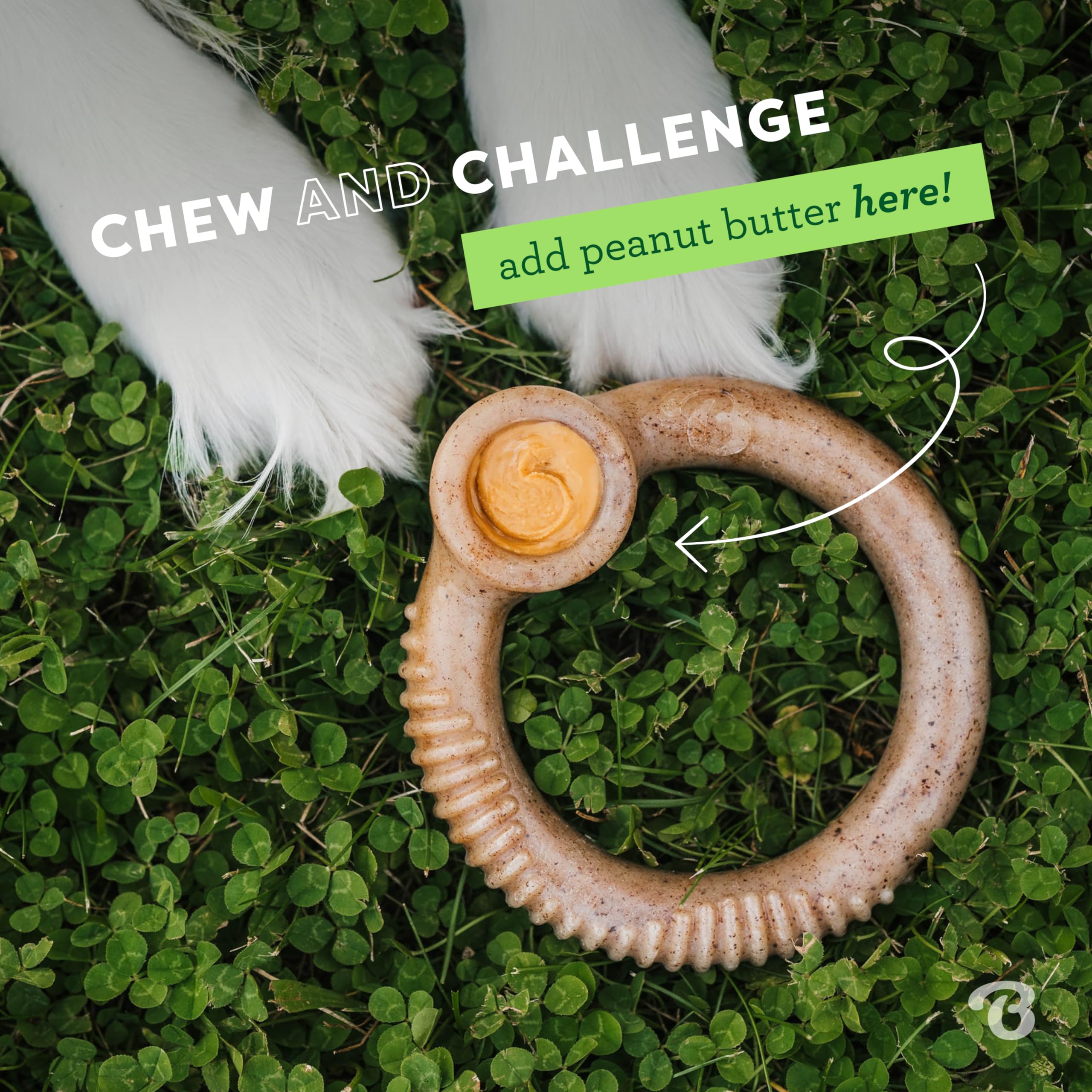 Snapklik.com : Benebone Ring Durable Dog Chew Toy For Aggressive Chewers