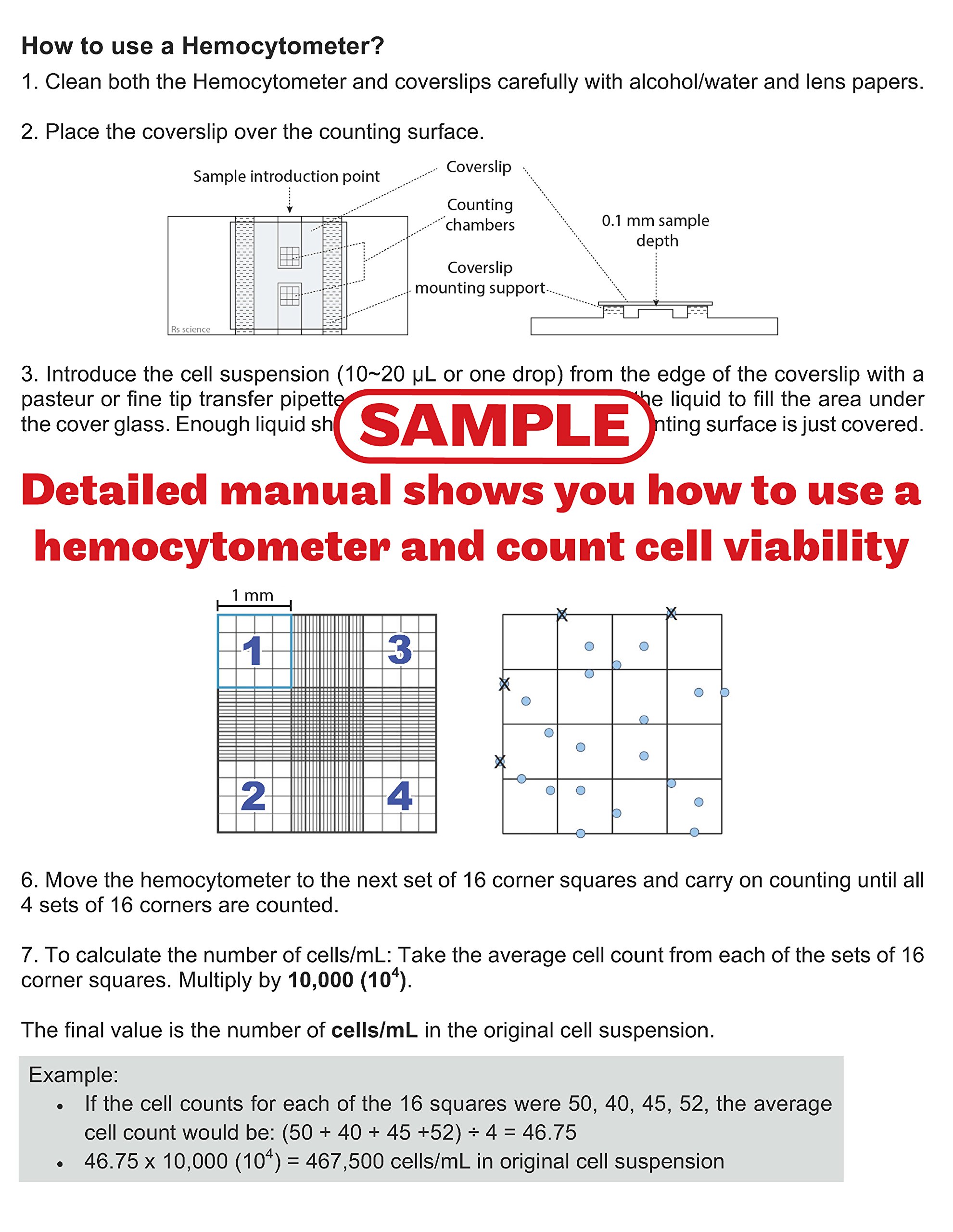 Cell Counting With A Hemocytometer As Easy As 1 2 57 Off