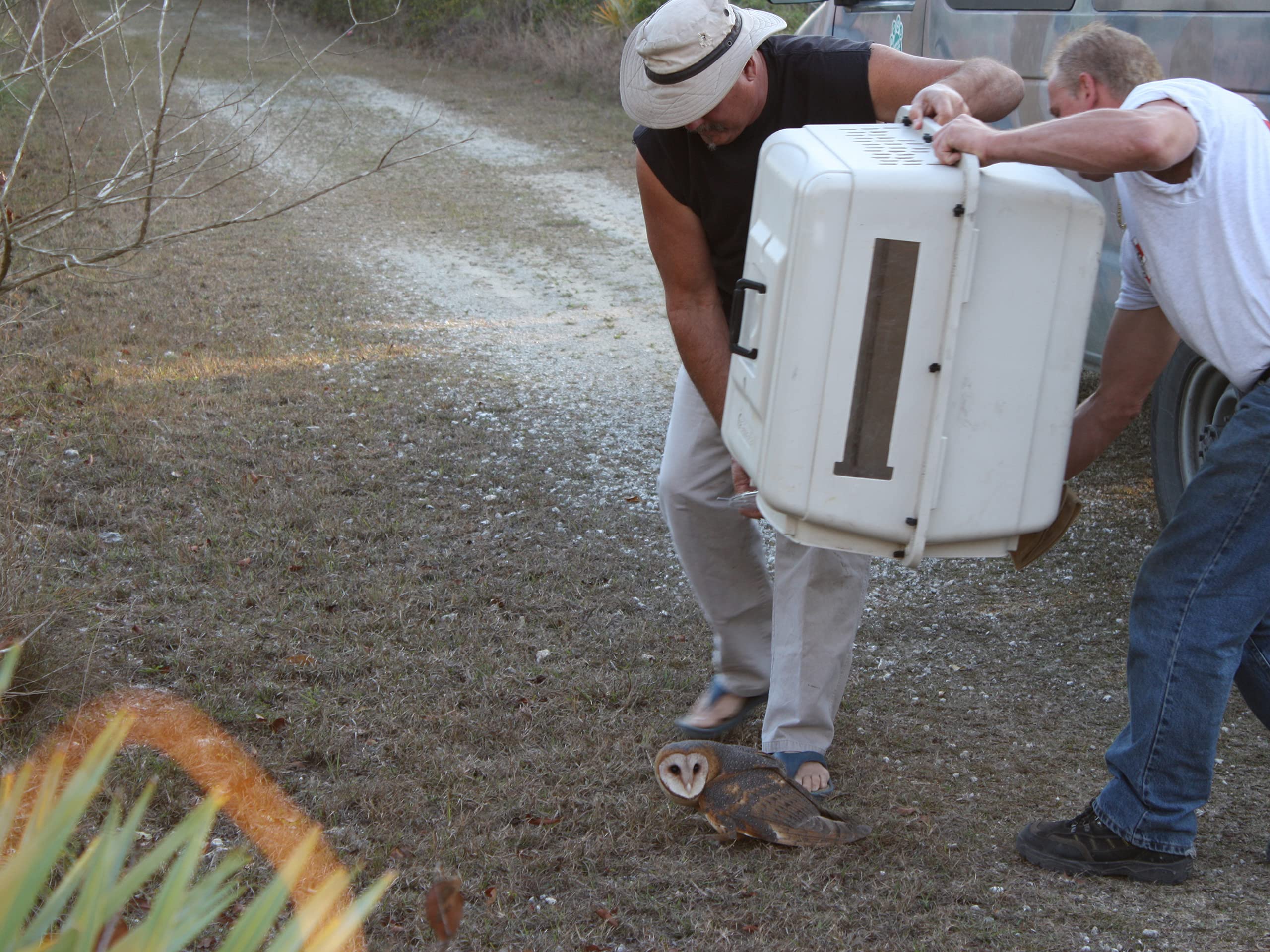 Watch Animal Cops Miami - Season 1 | Prime Video