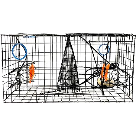 Amazon.com : Joy Fish Maryland Blue Crab Pot Trap, PVC Coated Wire mesh ...