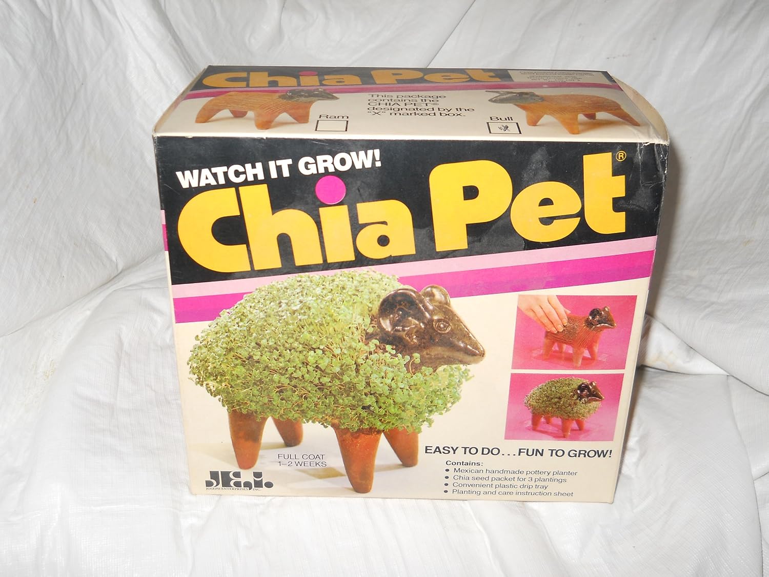 Amazon.com: Chia Pet Handmade Decorative Planter Bull : Everything Else