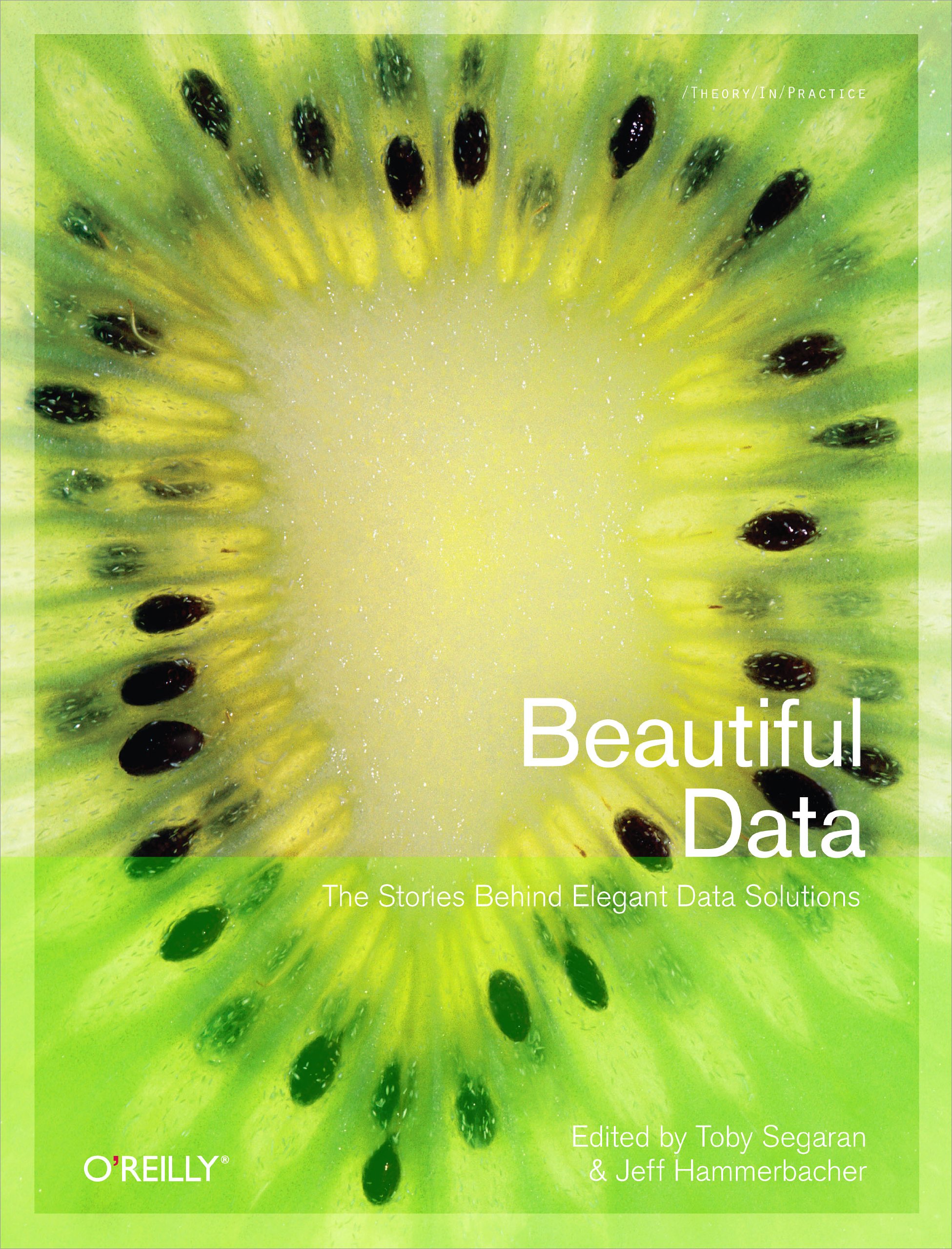 Beautiful Data: The Stories Behind Elegant Data Solutions: Segaran ...
