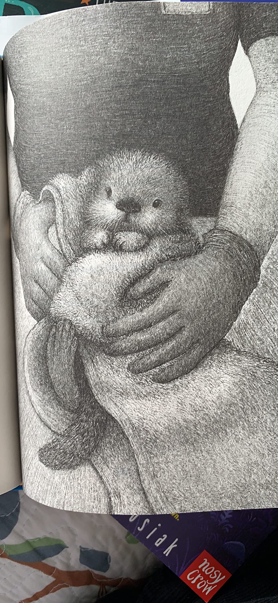 Odder: The New York Times Bestseller : Applegate, Katherine, Santoso ...