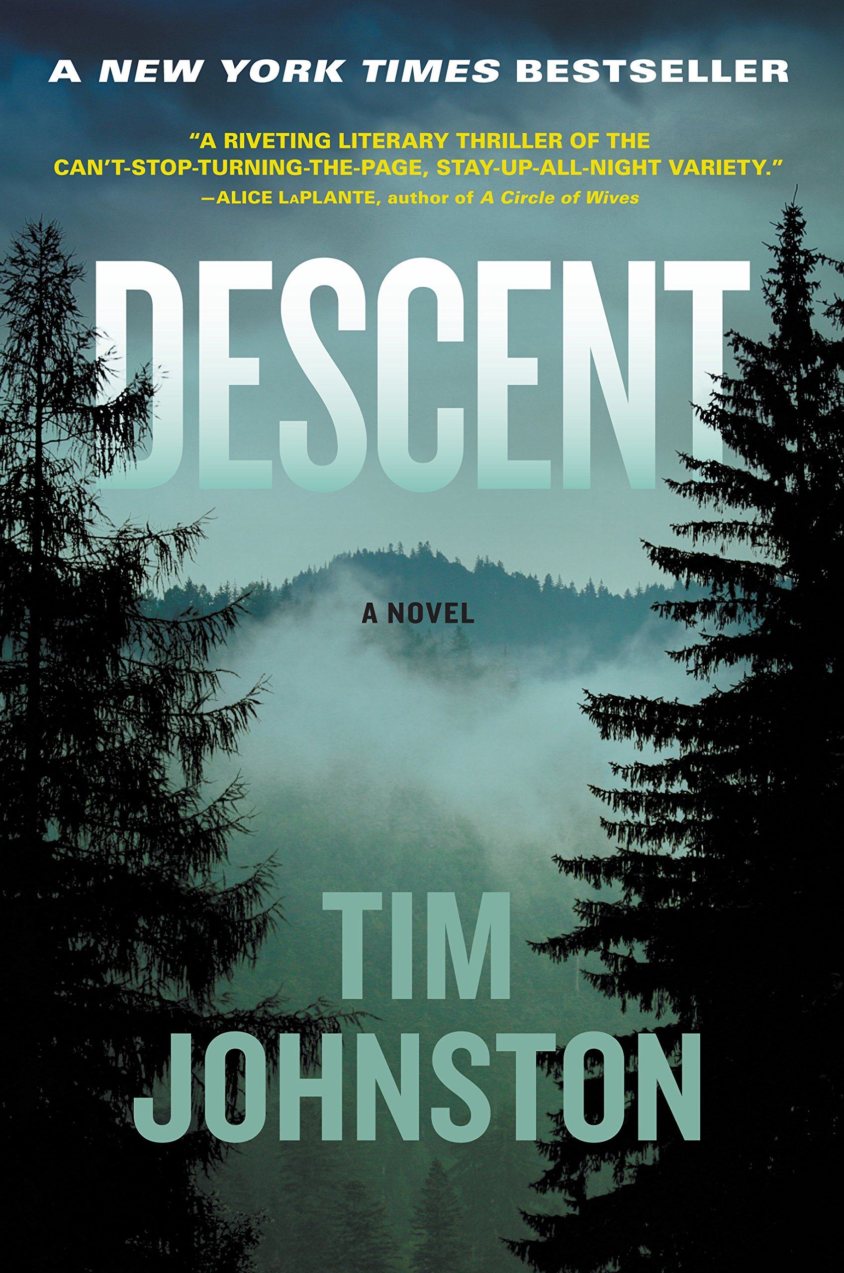 Amazon.com: Descent: A Novel: 9781616203047: Johnston, Tim: Books
