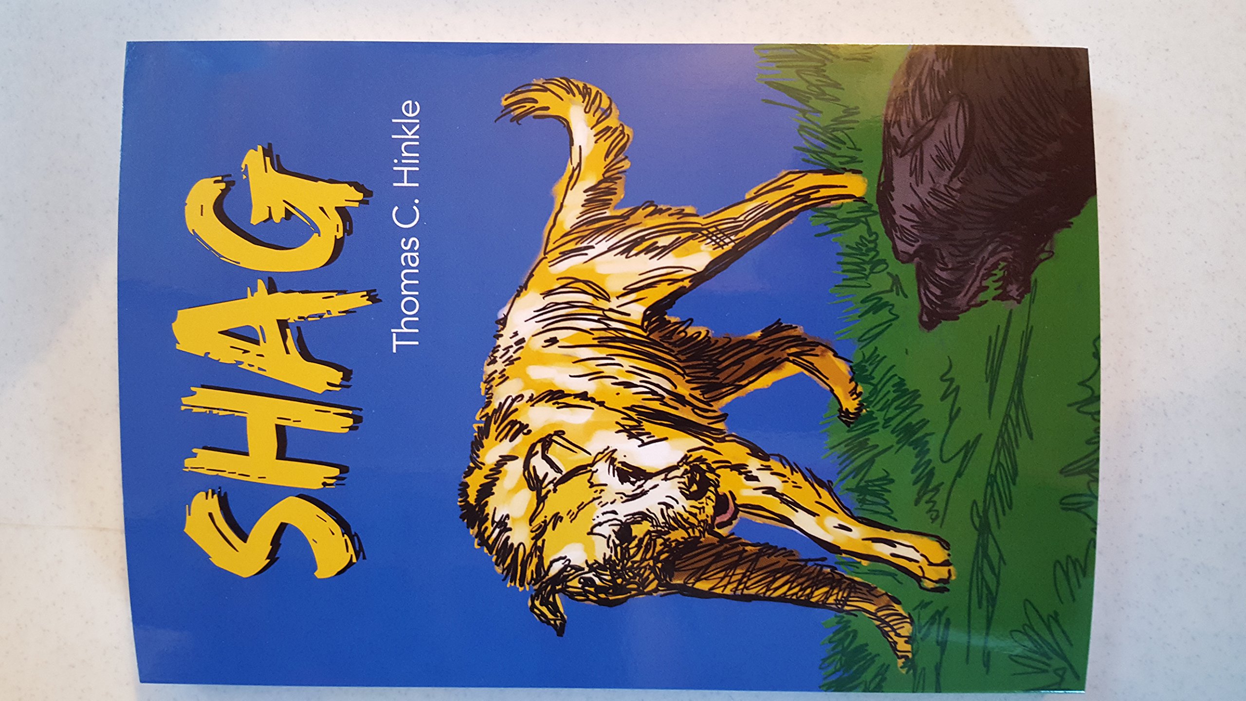 Shag: Thomas C. Hinkle, Sam Savitt: Amazon.com: Books