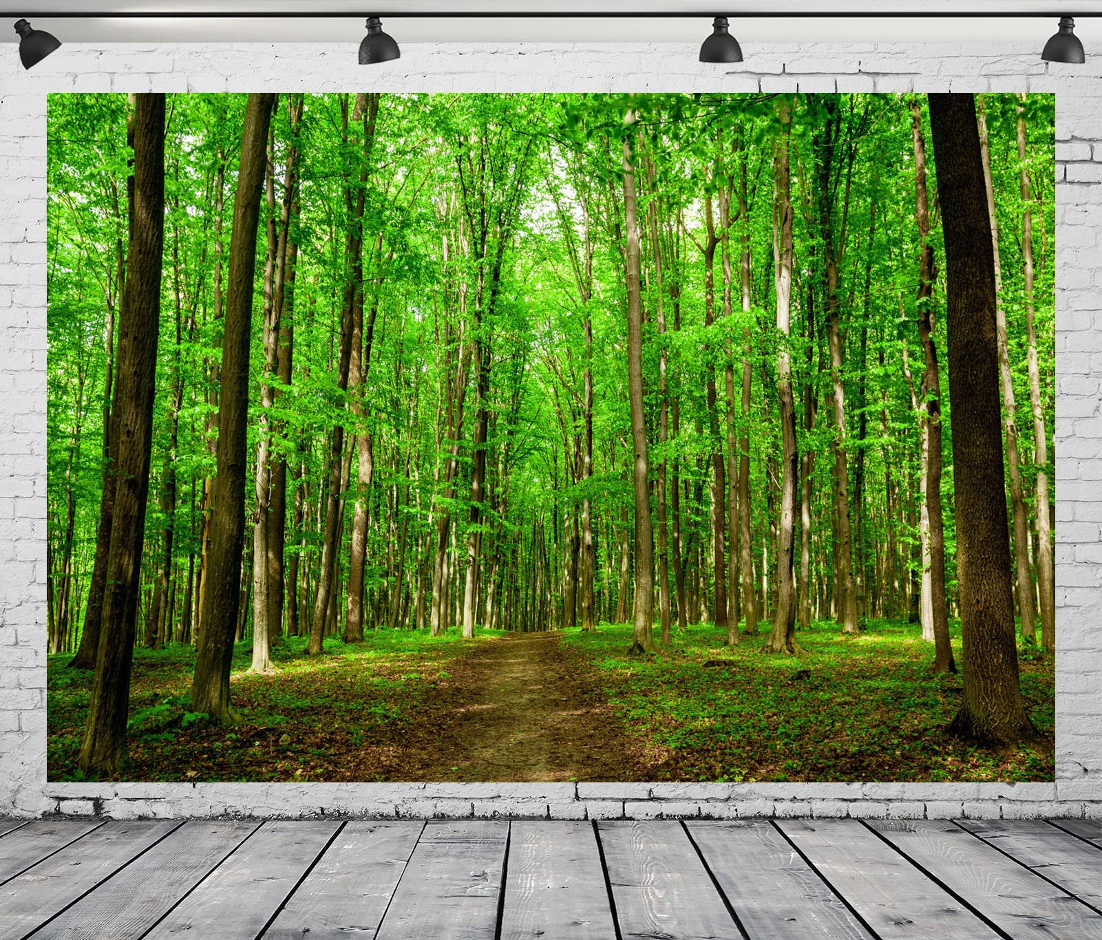 Summer Forest Background