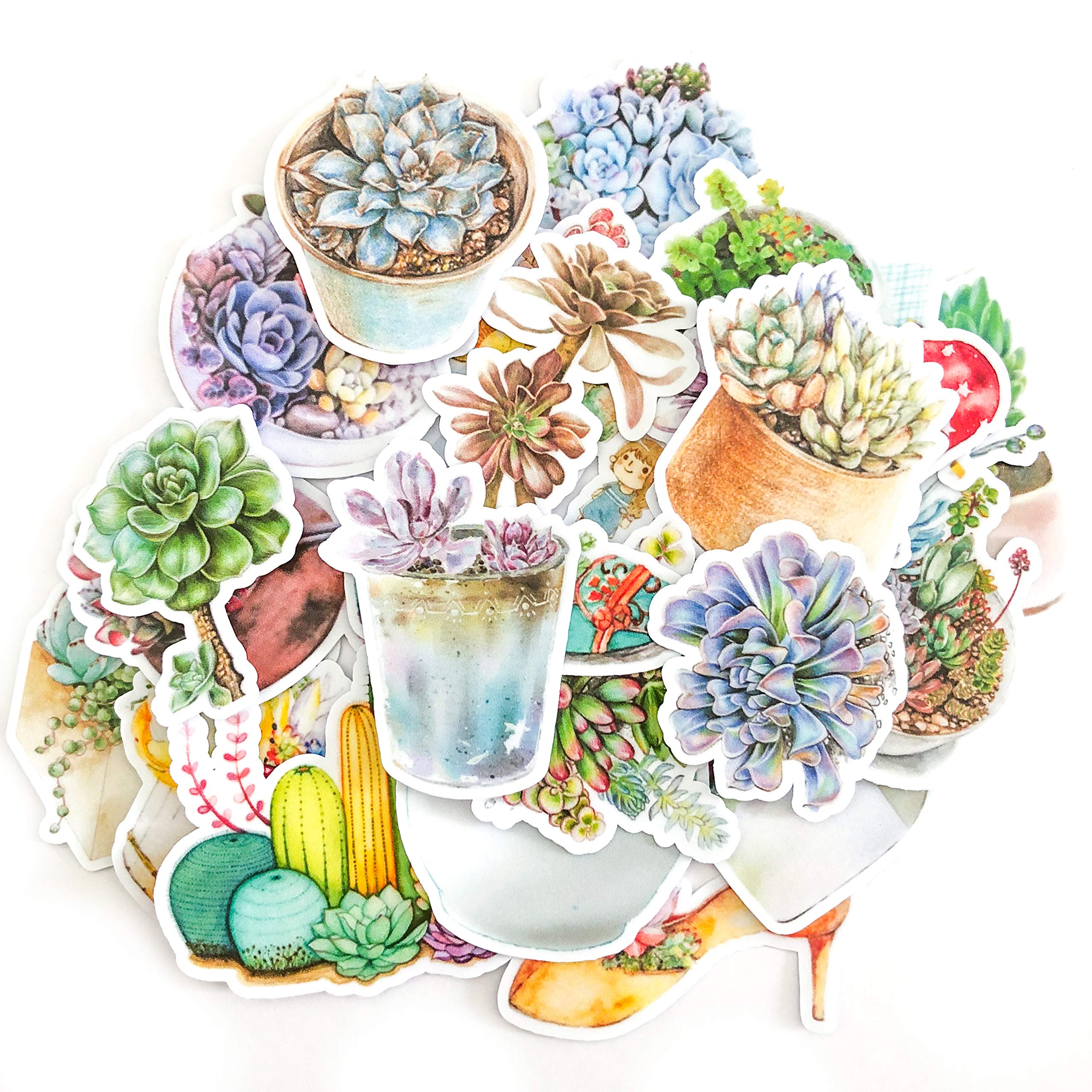 Watercolor Terrarium Girl In A Greenhouse With Plants Reading
