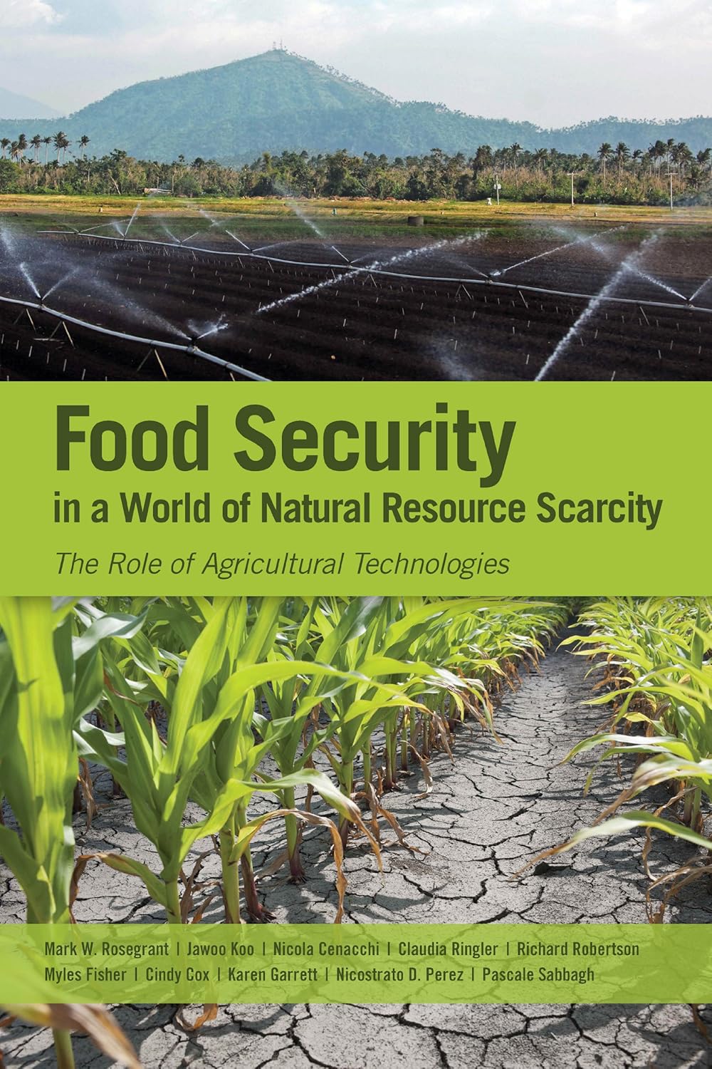 Food Security in a World of Natural Resource Scarcity - Kindle edition ...