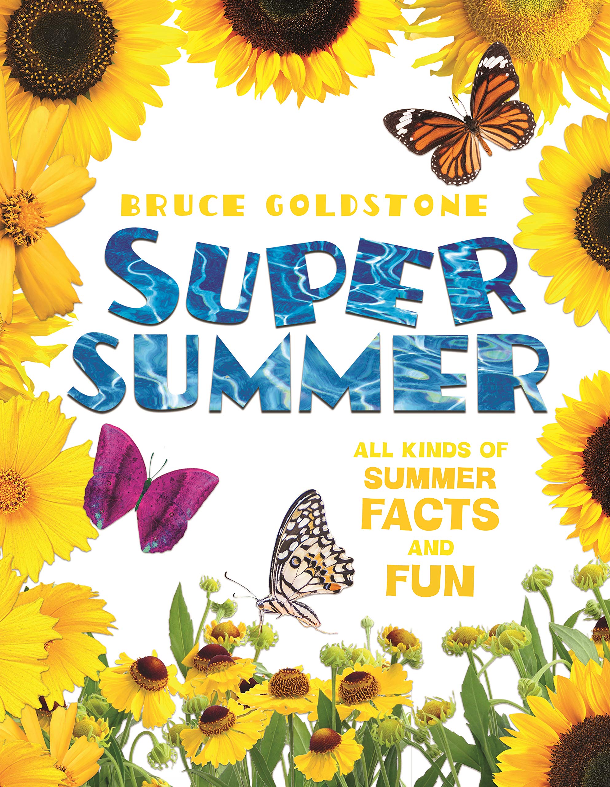 Super Summer: All Kinds of Summer Facts and Fun (Season Facts and Fun ...