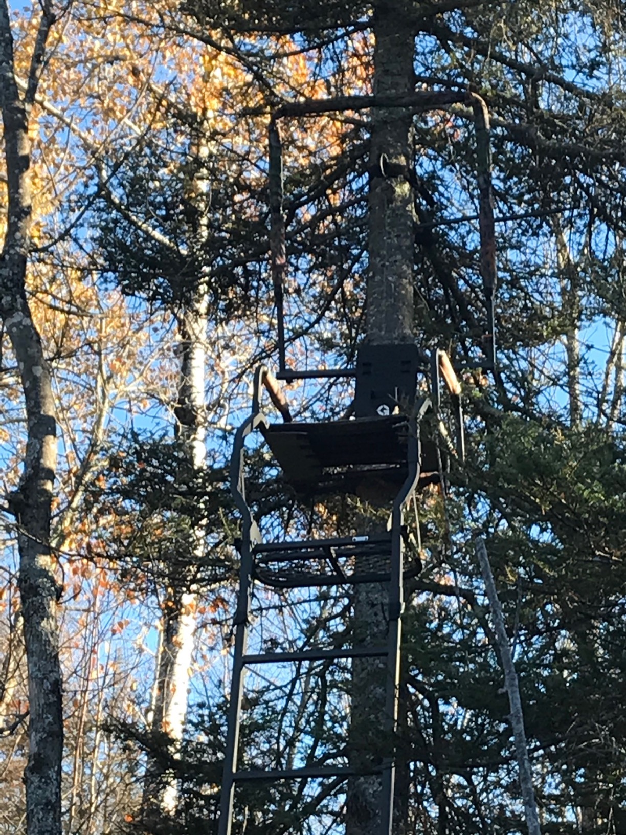 Amazon.com : Guide Gear Universal Padded Hunting Shooting Rest Rail for ...