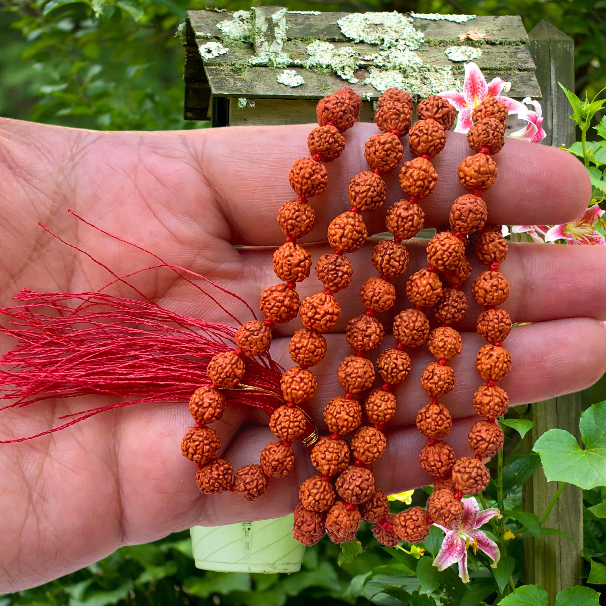 Rare Rudraksha Mala