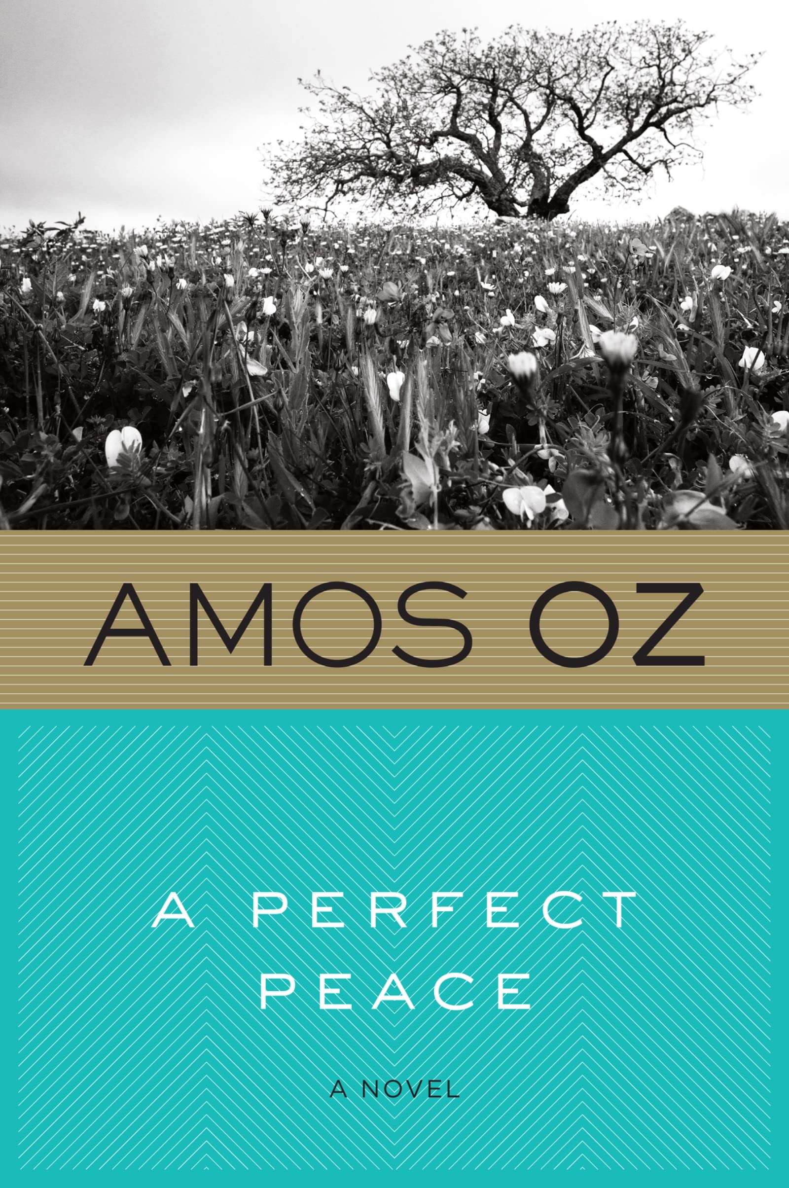Amazon.com: A Perfect Peace: 9780156716833: Oz, Amos: Books