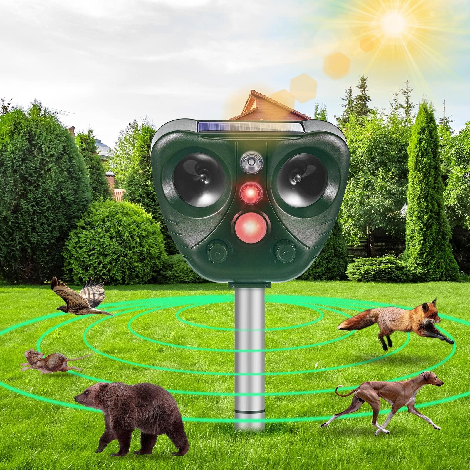 Amazon.com: Ultrasonic Solar Animal Repeller Outdoor,Animal Repellent ...
