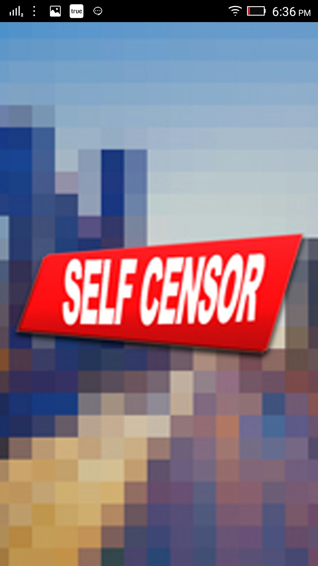 Self Censor is designed to blur inappropriate images on your devices.-Amazonアプリストアのアプリ