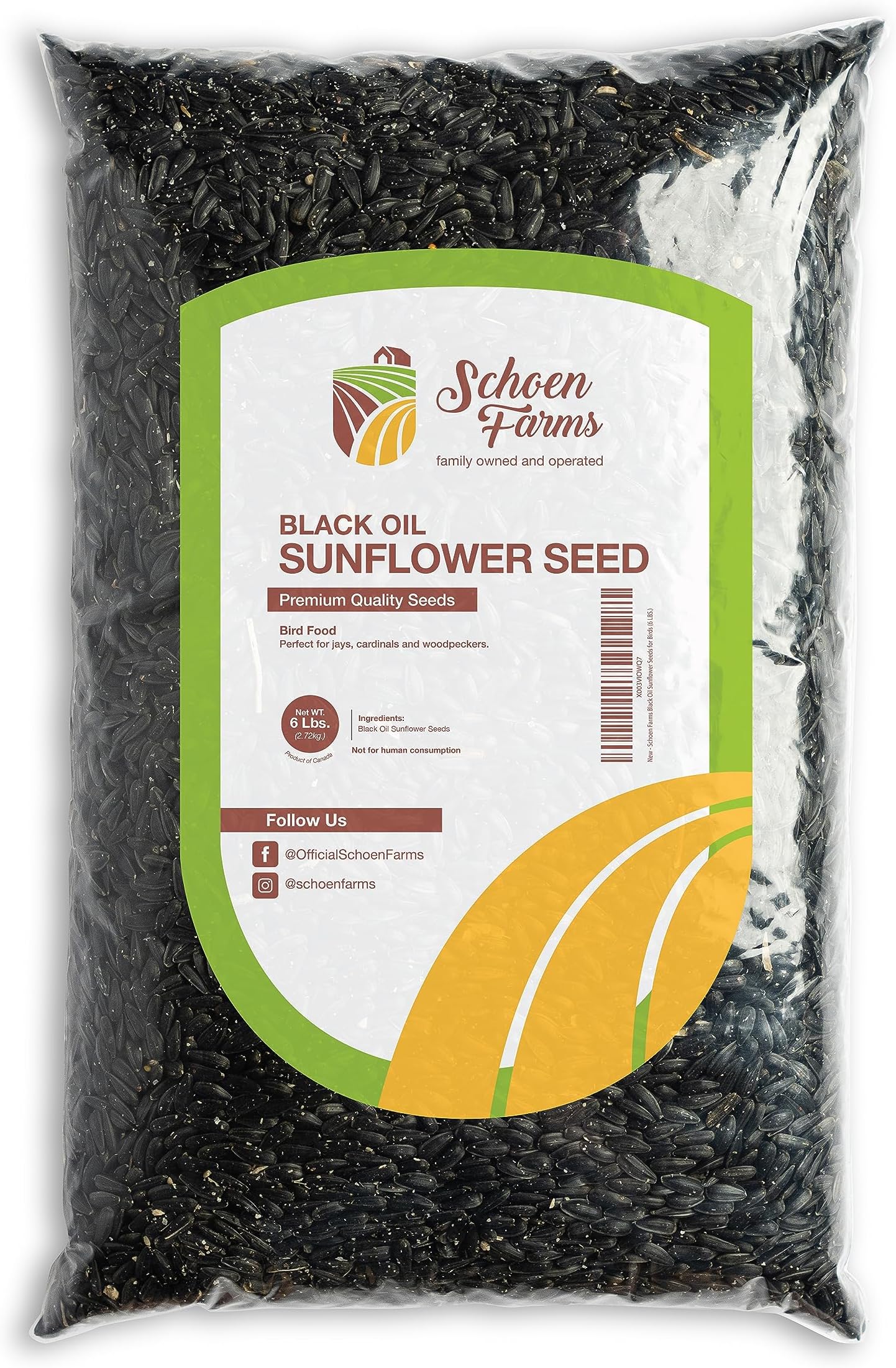Schoen Farms Black Oil Sunflower Seeds for Birds (6 LBS) : Amazon.ca ...