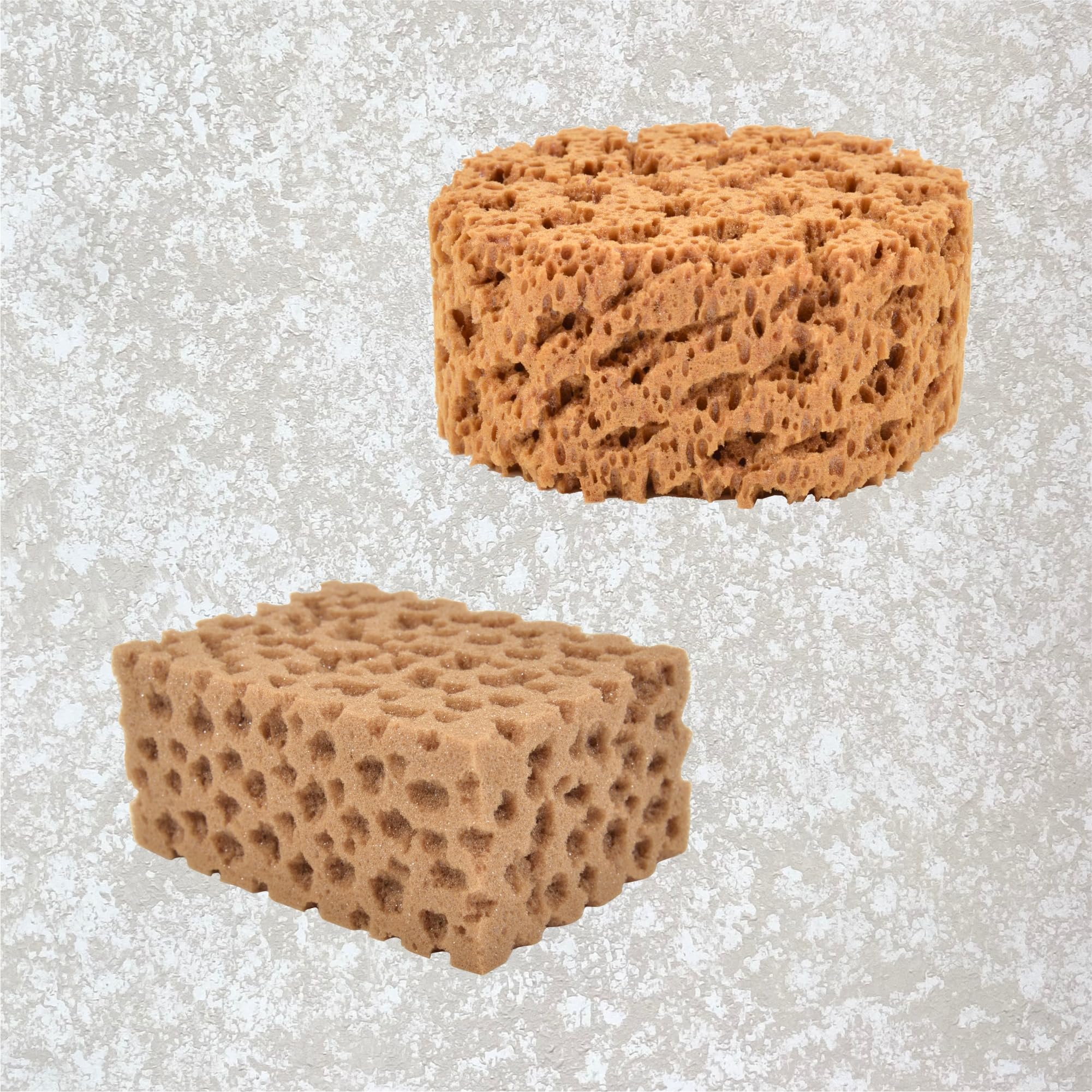 Amazon.com: Hanroy Large Sea Sponges for Artists Unbleached 2pc Value ...