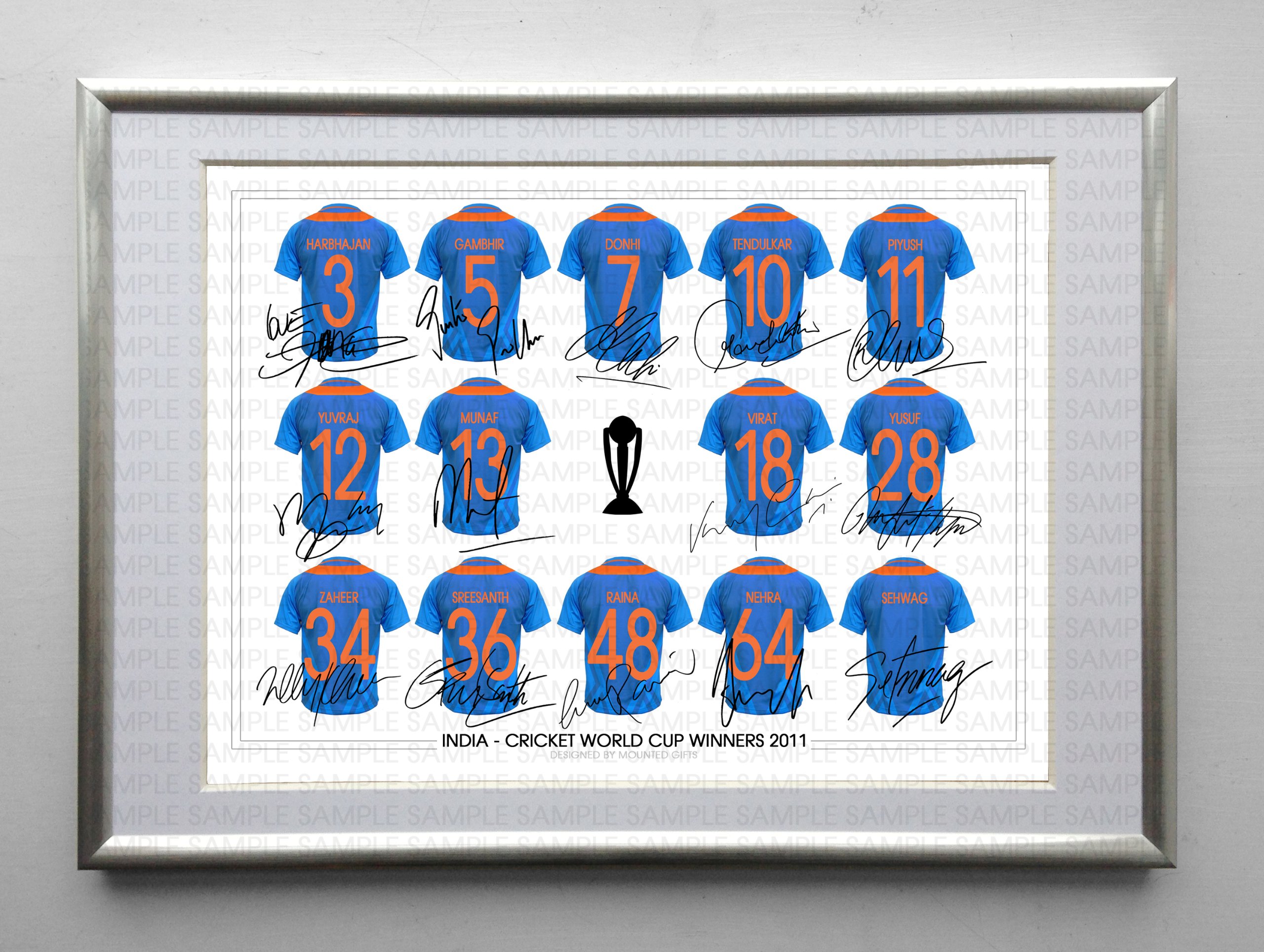 Framed And Mounted India Cricket World Cup Winners 2011 New ...
