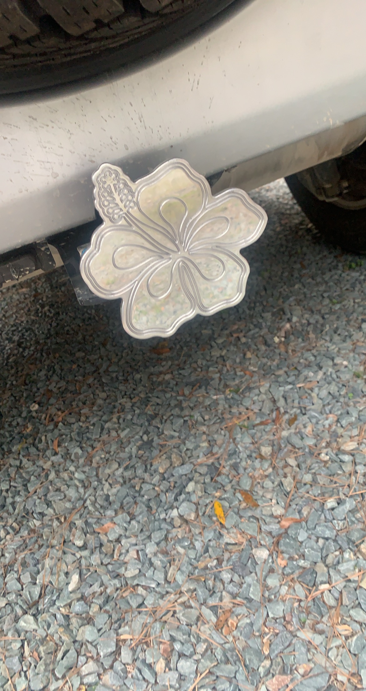 Amazon.com: All Sales 1024 Hula-Tiki Hitch Cover : Automotive