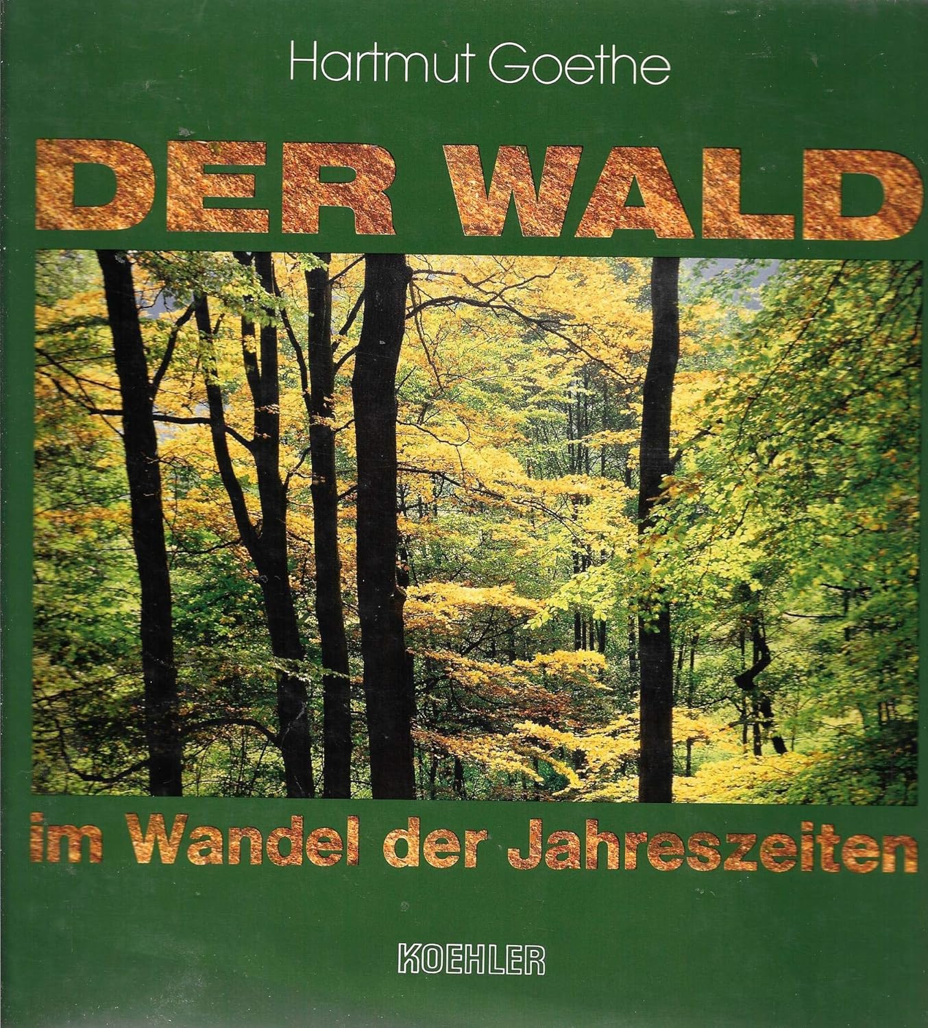 Der Wald im Wandel der Jahreszeiten: Ein Baumbuch aus dem Sachsenwald ...