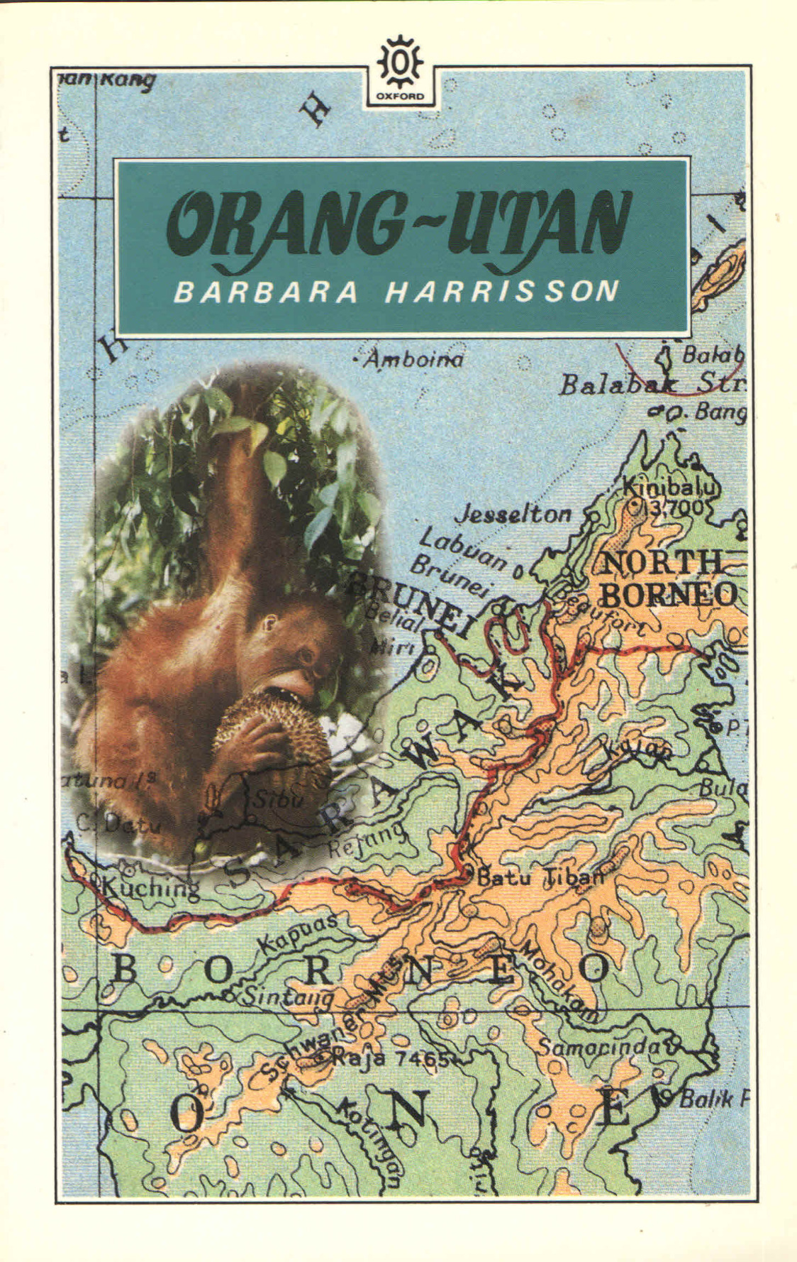 Orang-utan: Barbara Harrisson: Amazon.com: Books